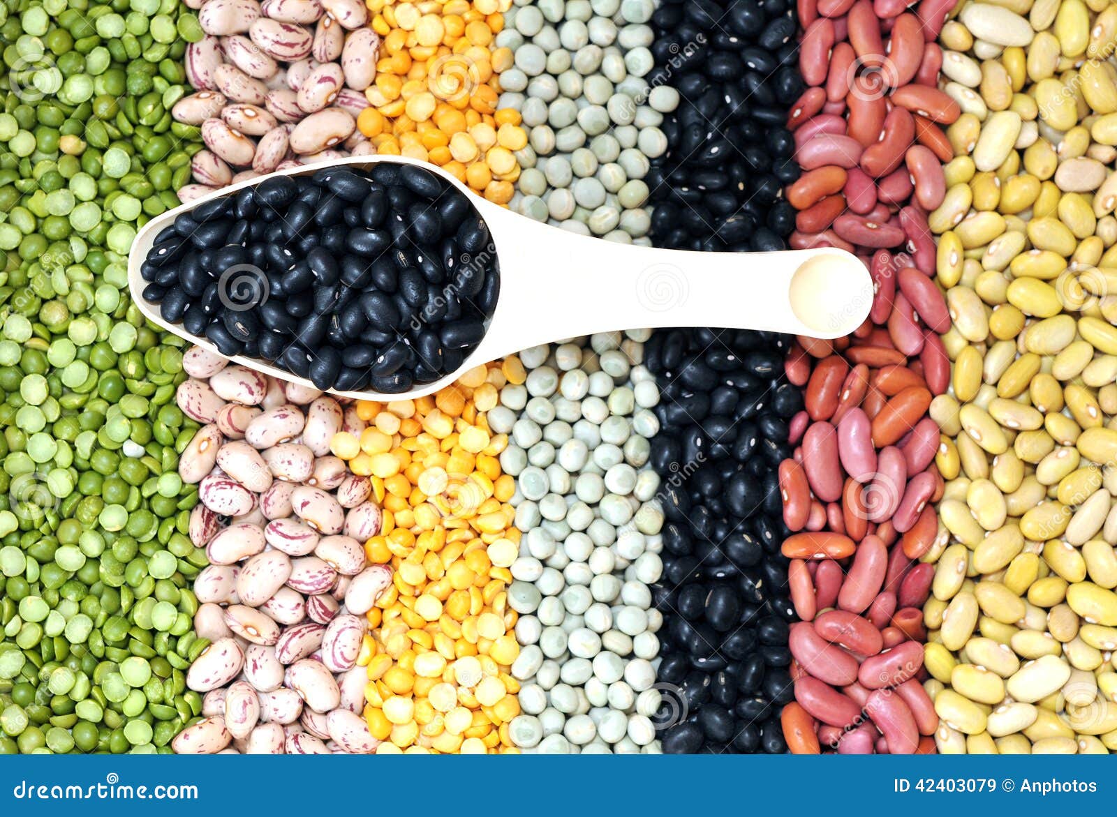 Mix of beans stock image. Image of harvest, nutrient - 42403079