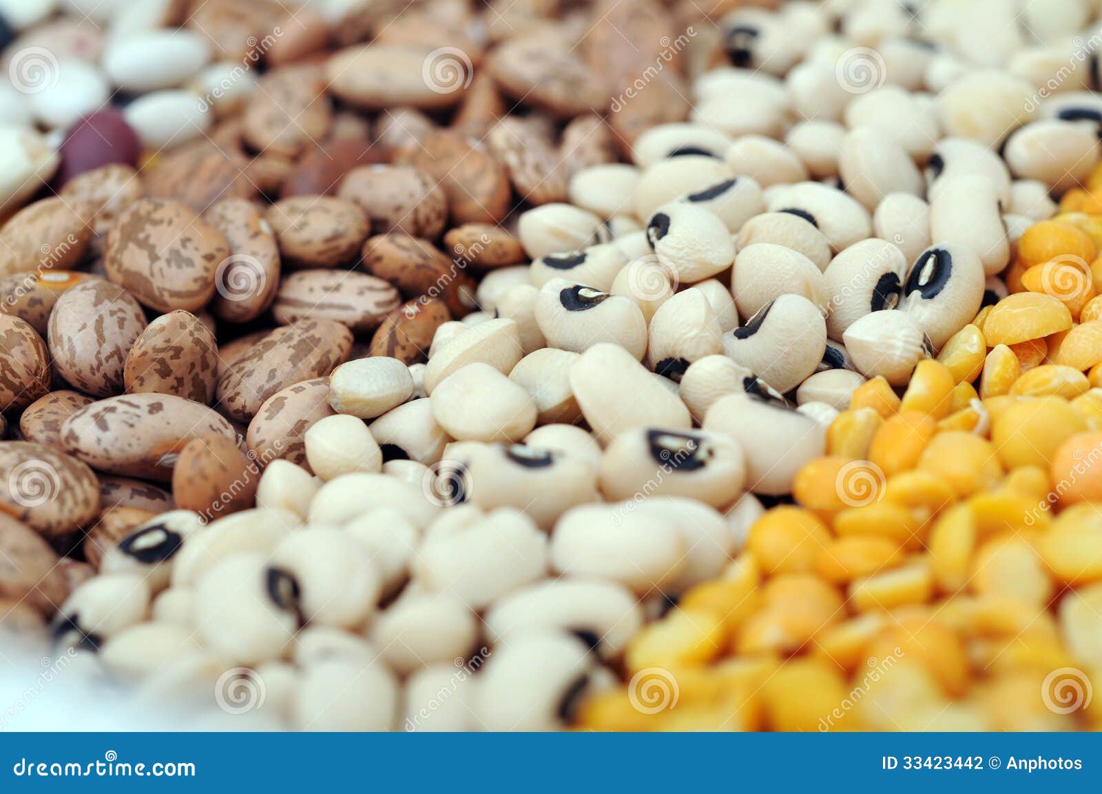 Mix beans stock photo. Image of pink, food, eyes, harvest - 33423442