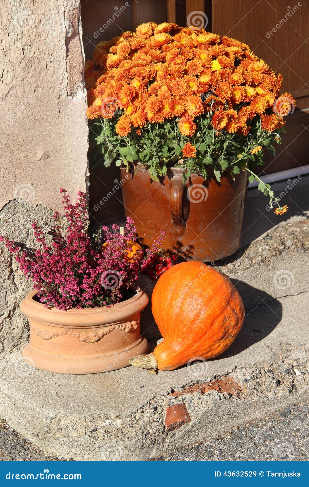 Mix of Beautiful Fall Terrace Flowers Stock Image - Image of colorful ...