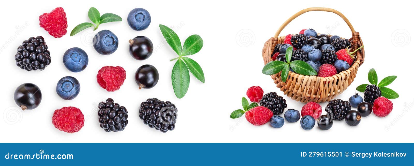 Mix of Blackberry Blueberry Raspberry Isolated on White Background. Top ...