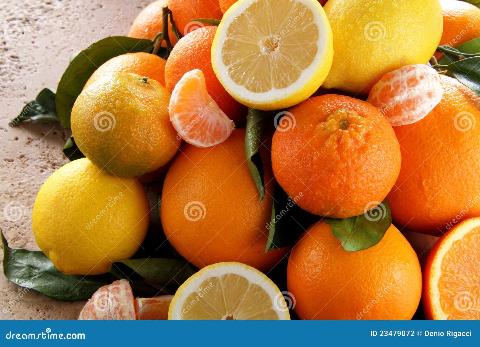 Mix citrus fruit stock photo. Image of cocktail, alcool - 23479072