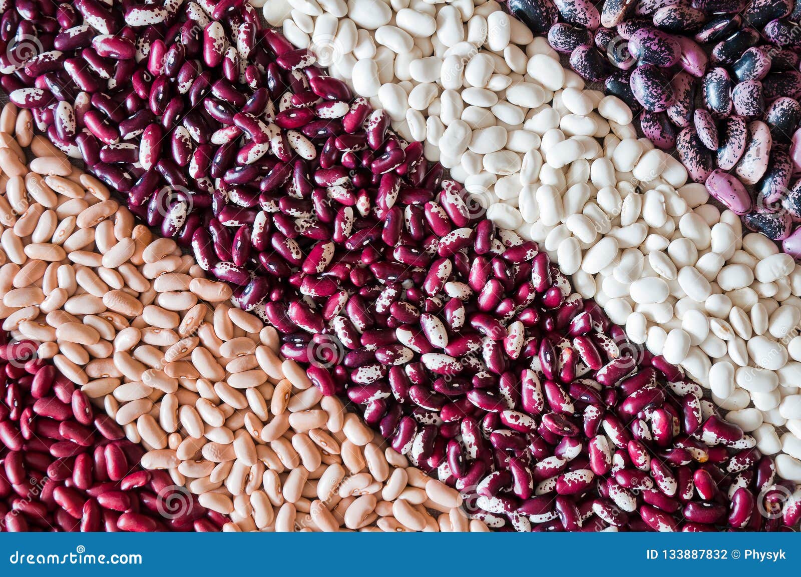 A Mix of Colored Beans Arranged by Diagonal Strips. Top View Stock ...