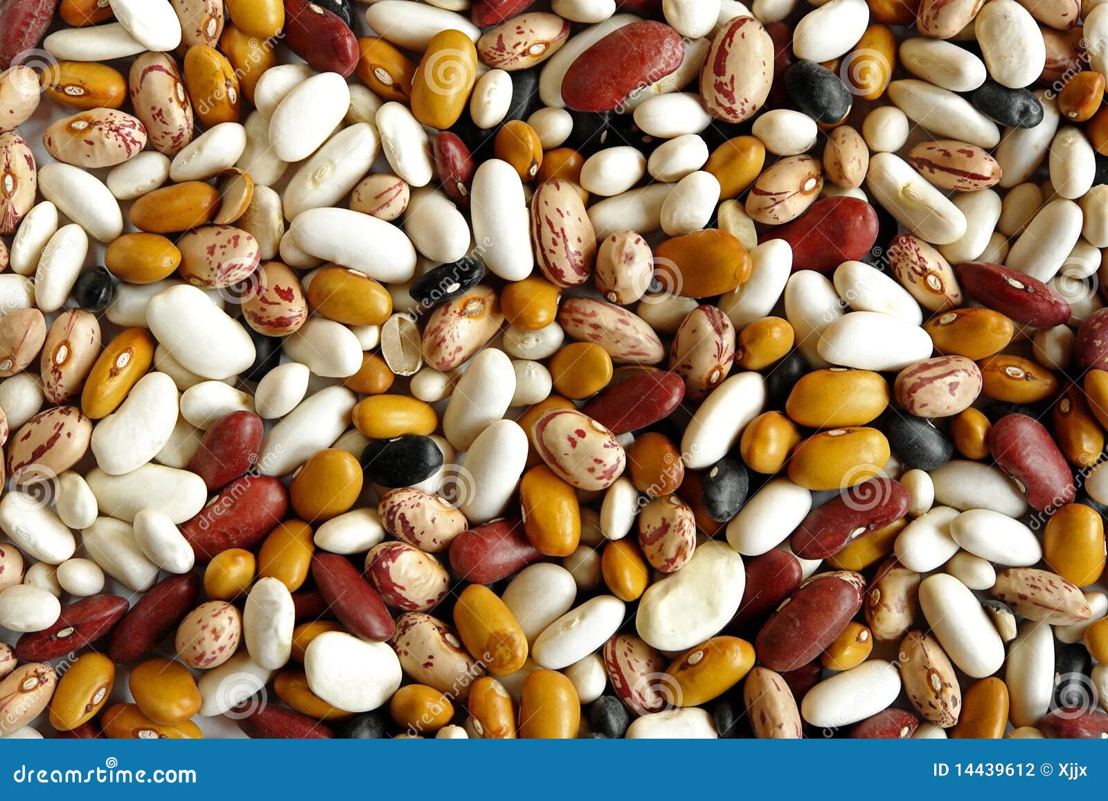 Mix Of Colorful Beans Stock Photography - Image: 14439612