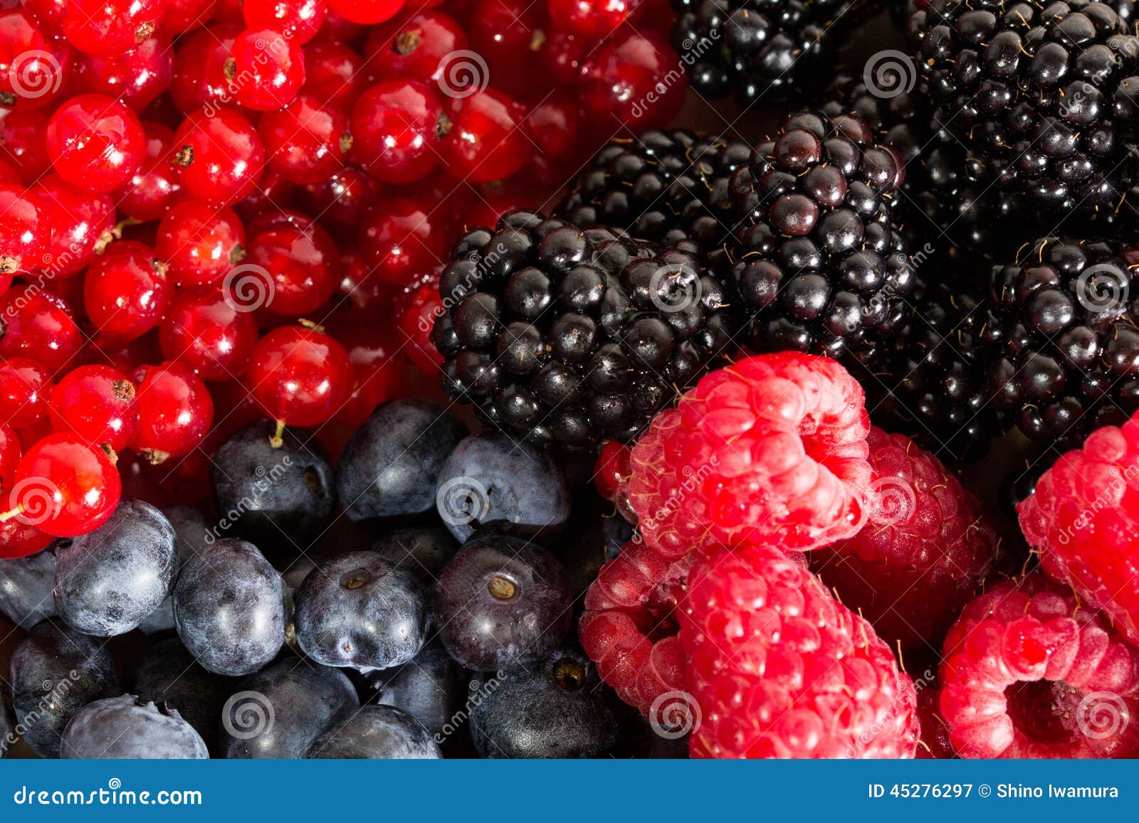 Mix of different berries stock image. Image of collection - 45276297