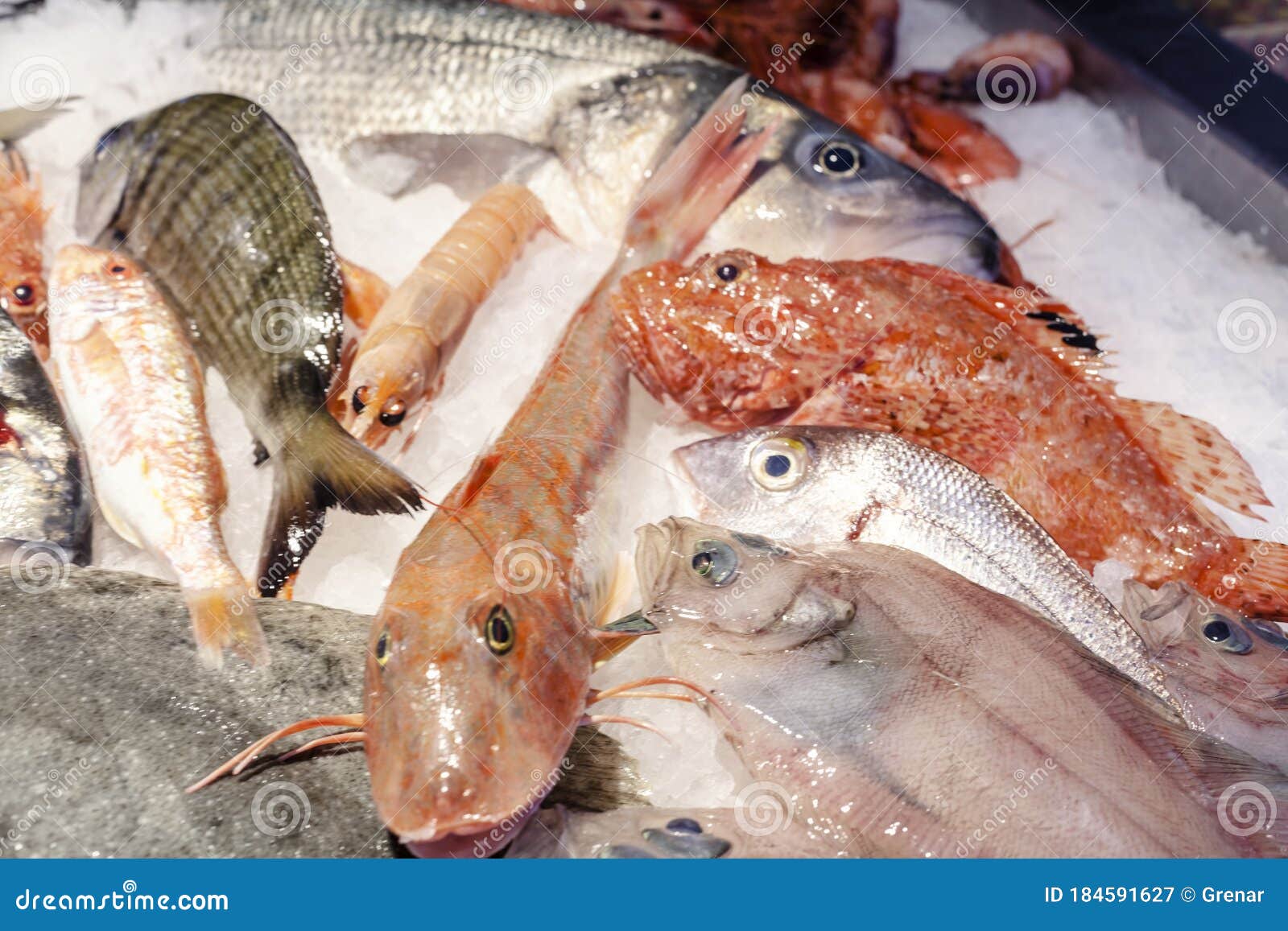 Fish fresh mix stock image. Image of fish, mediterranean - 184591627