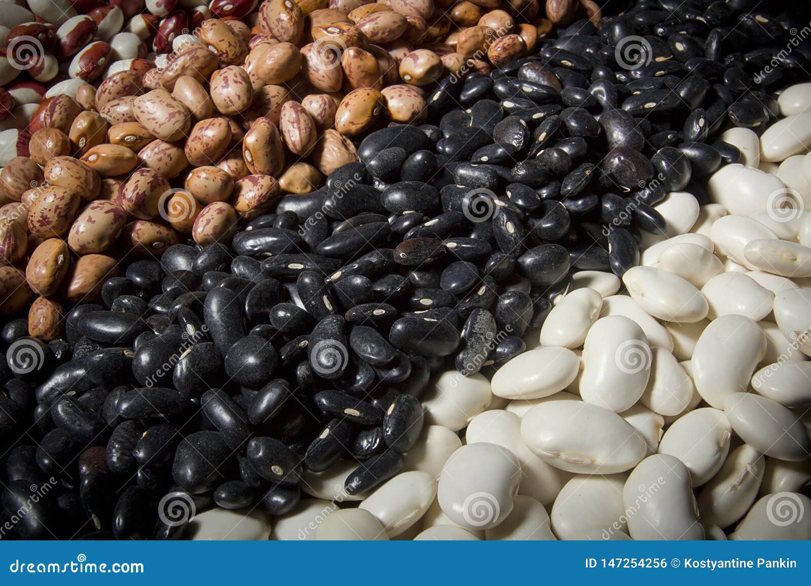 Mix of Different Varieties of Beans Stock Photo - Image of seed ...