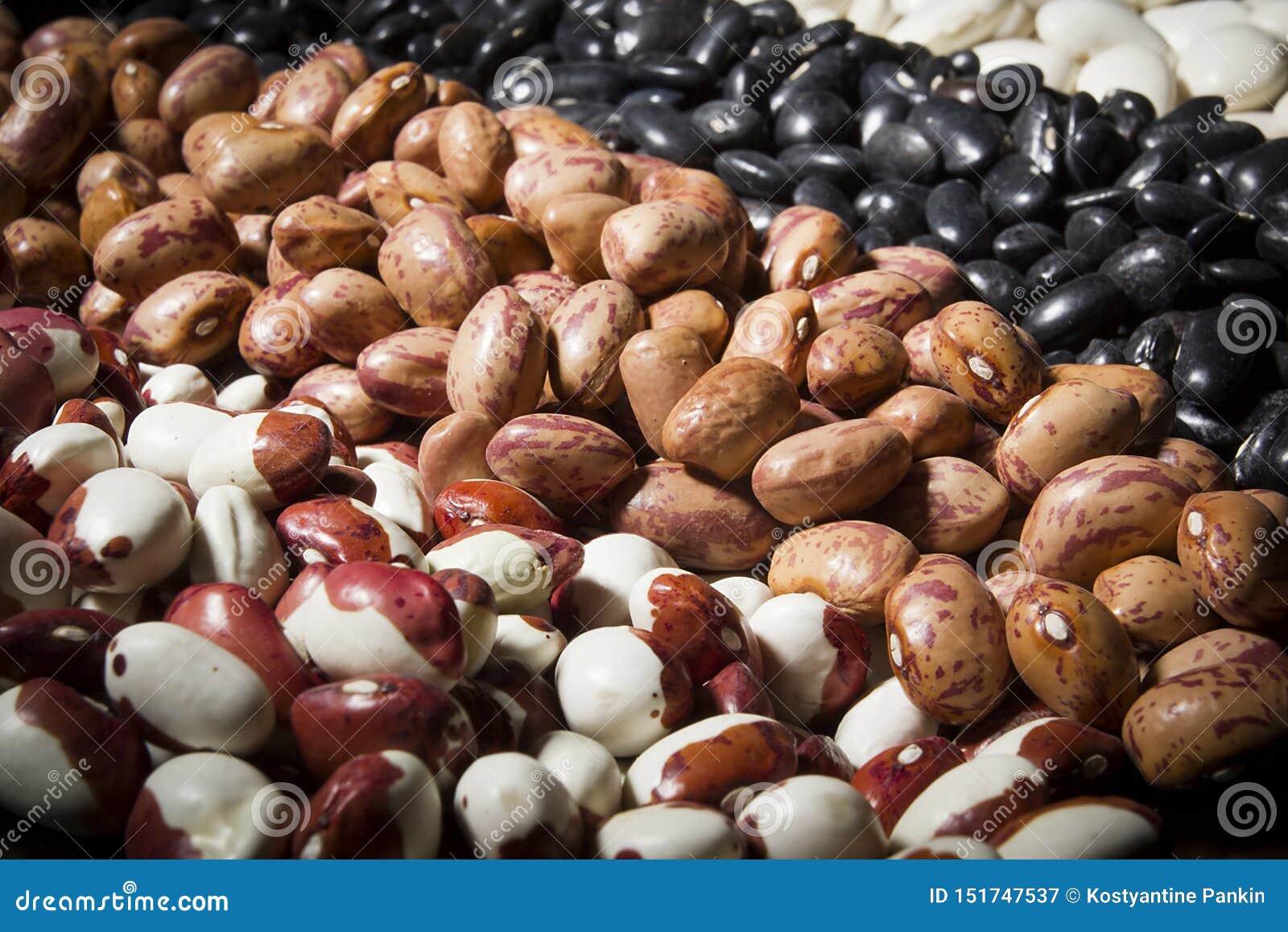 Mix of Different Varieties of Beans Stock Image - Image of agriculture ...