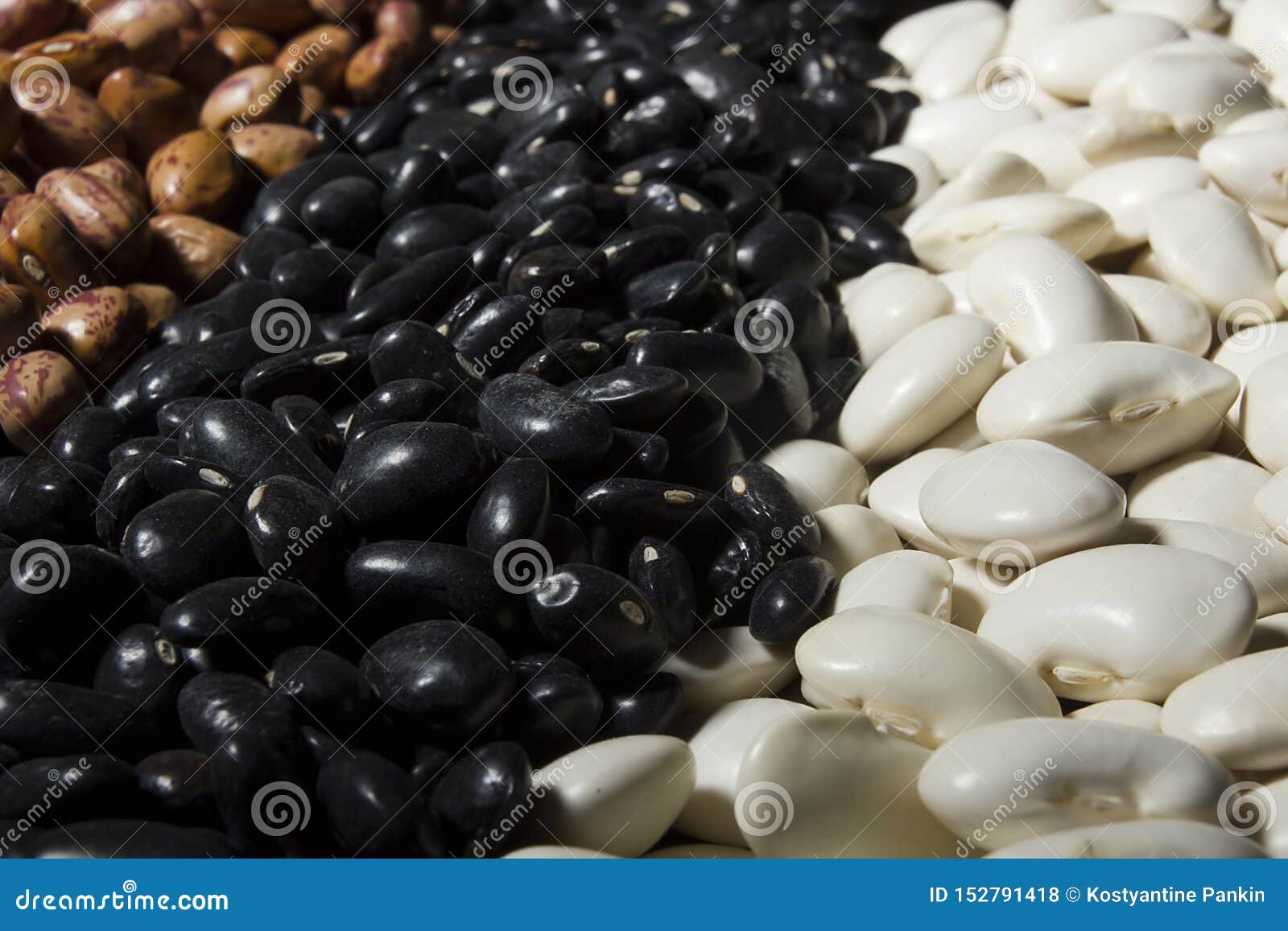 Mix of Different Varieties of Beans Stock Photo - Image of bean ...