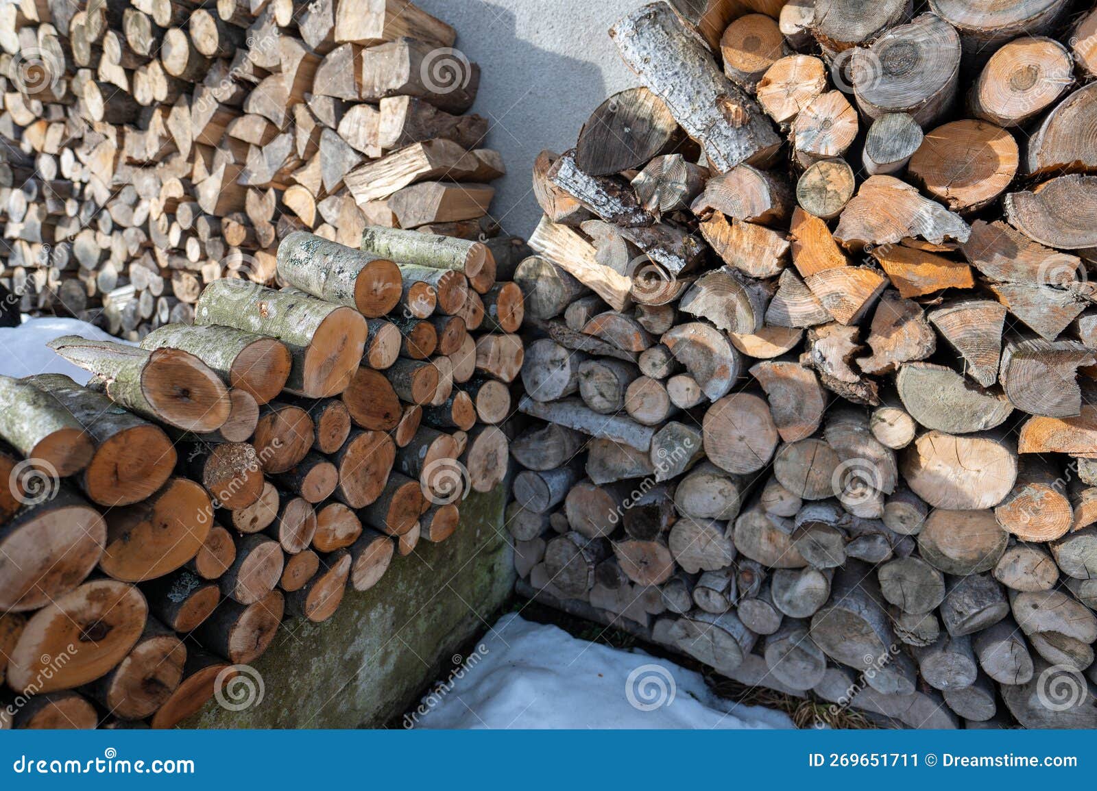 A Mix of Different Types of Wood. Firewood Folded To Dry in the Yard ...