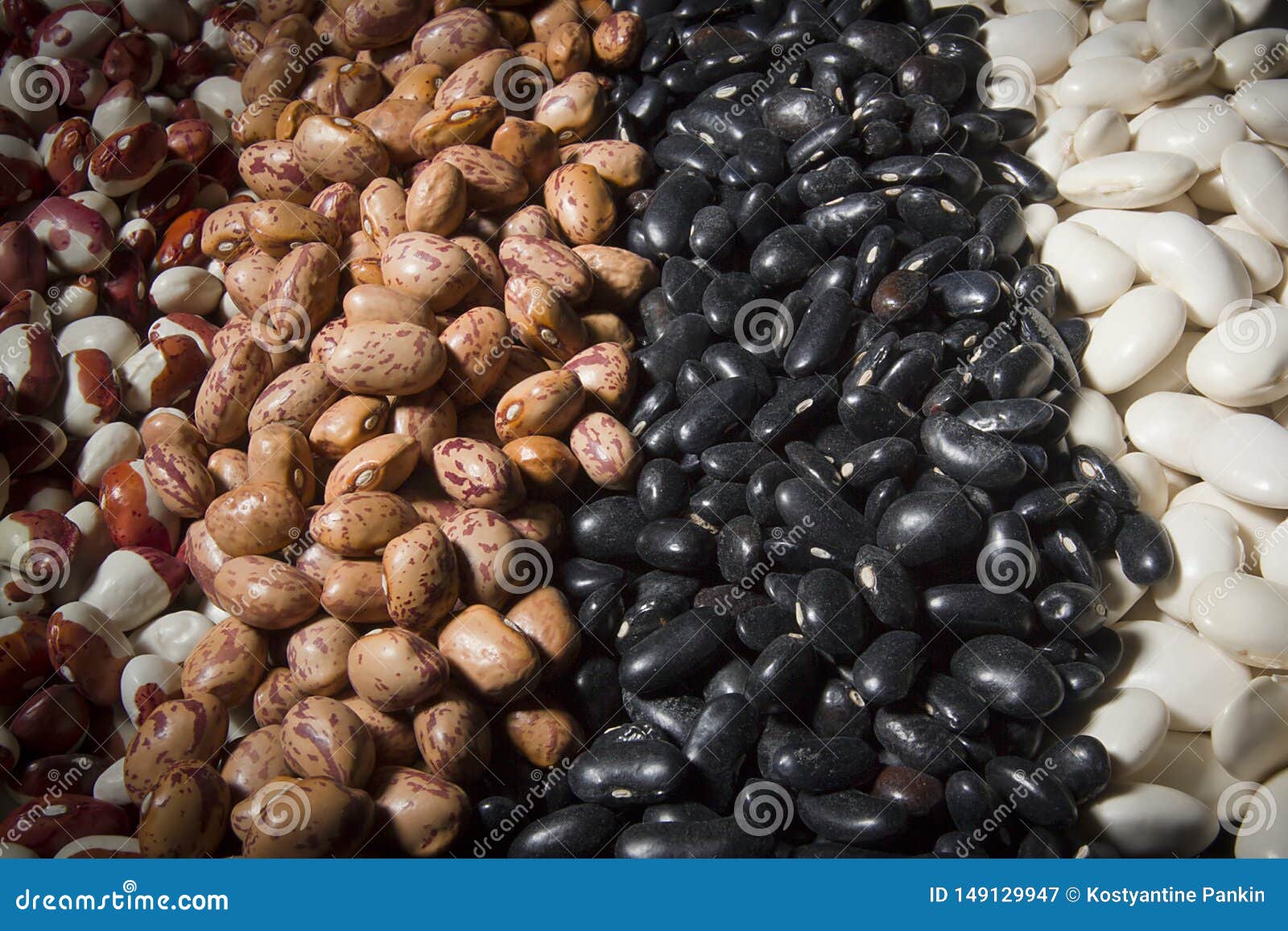 Mix of Different Varieties of Beans Stock Image - Image of orange, diet ...