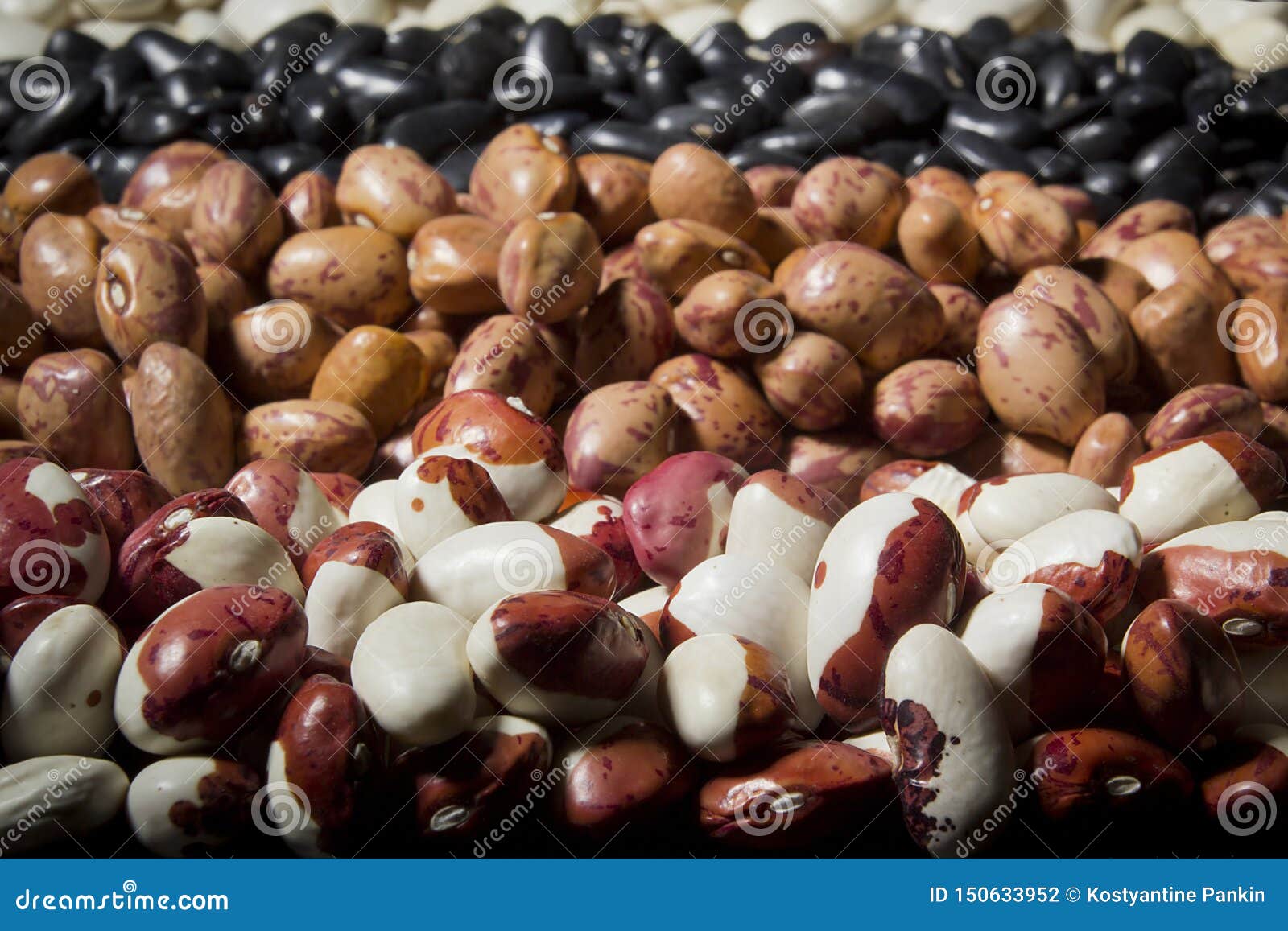 Mix of Different Varieties of Beans Stock Photo - Image of natural ...