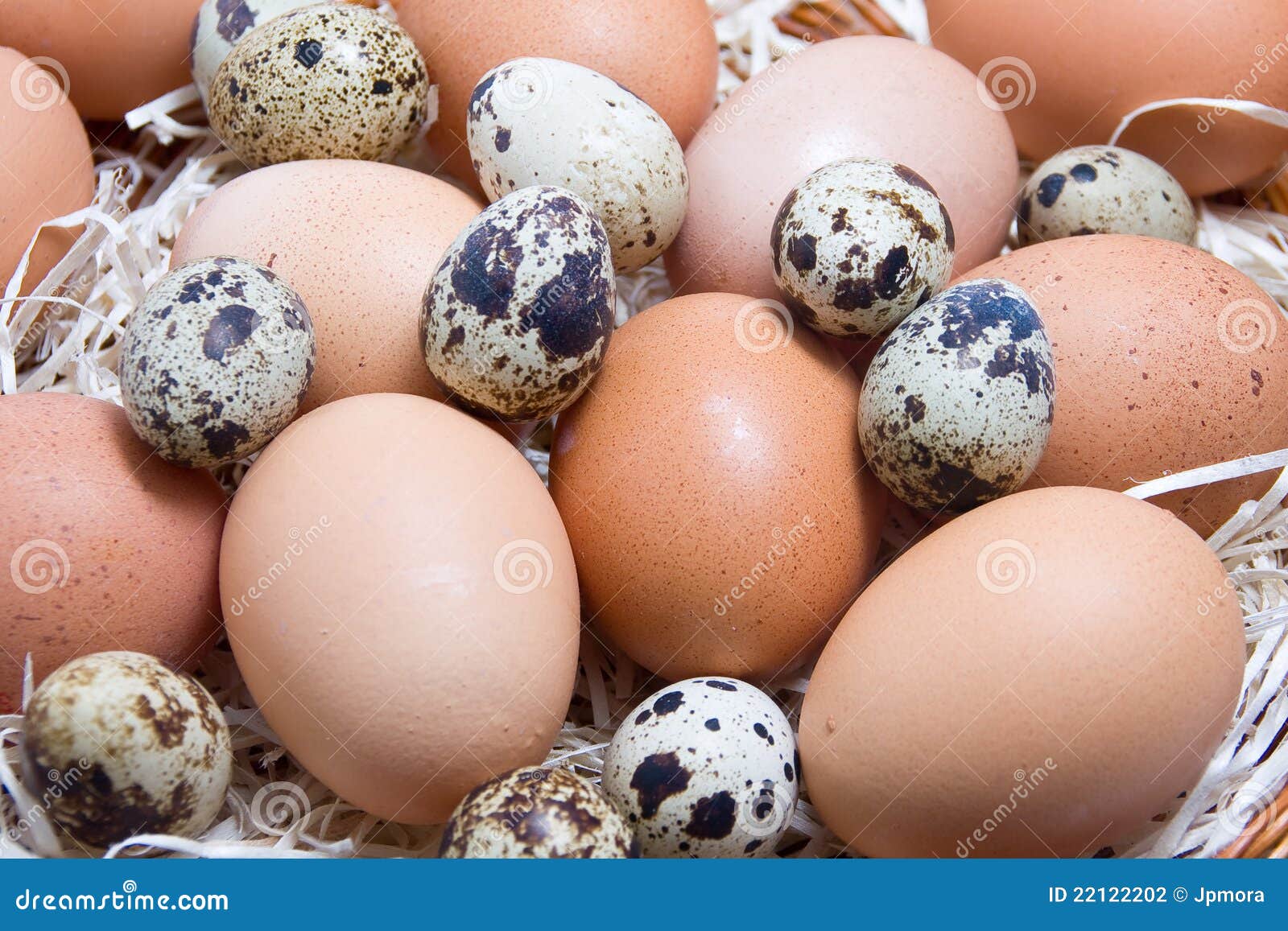 Mix eggs stock photo. Image of food, eggs, cuisine, nutritious - 22122202