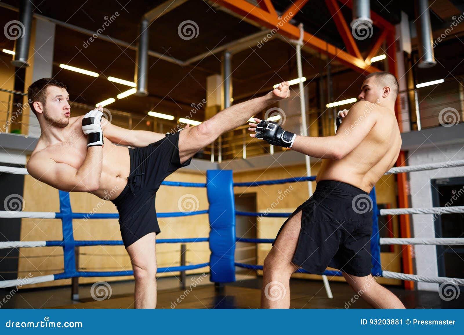 Mix-fight training stock image. Image of aggression, boxer - 93203881