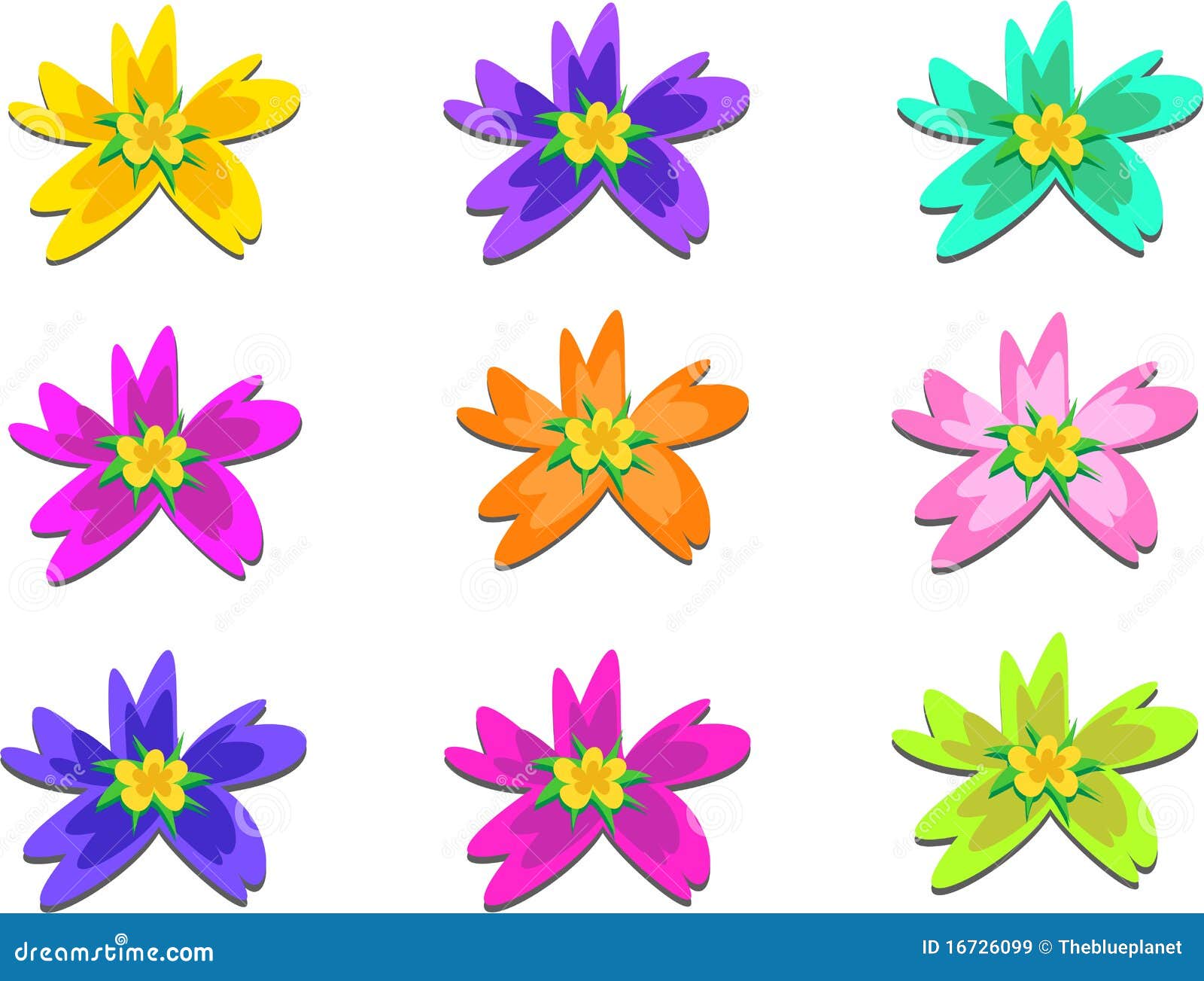 Mix of Five Point Flowers stock vector. Illustration of nature - 16726099
