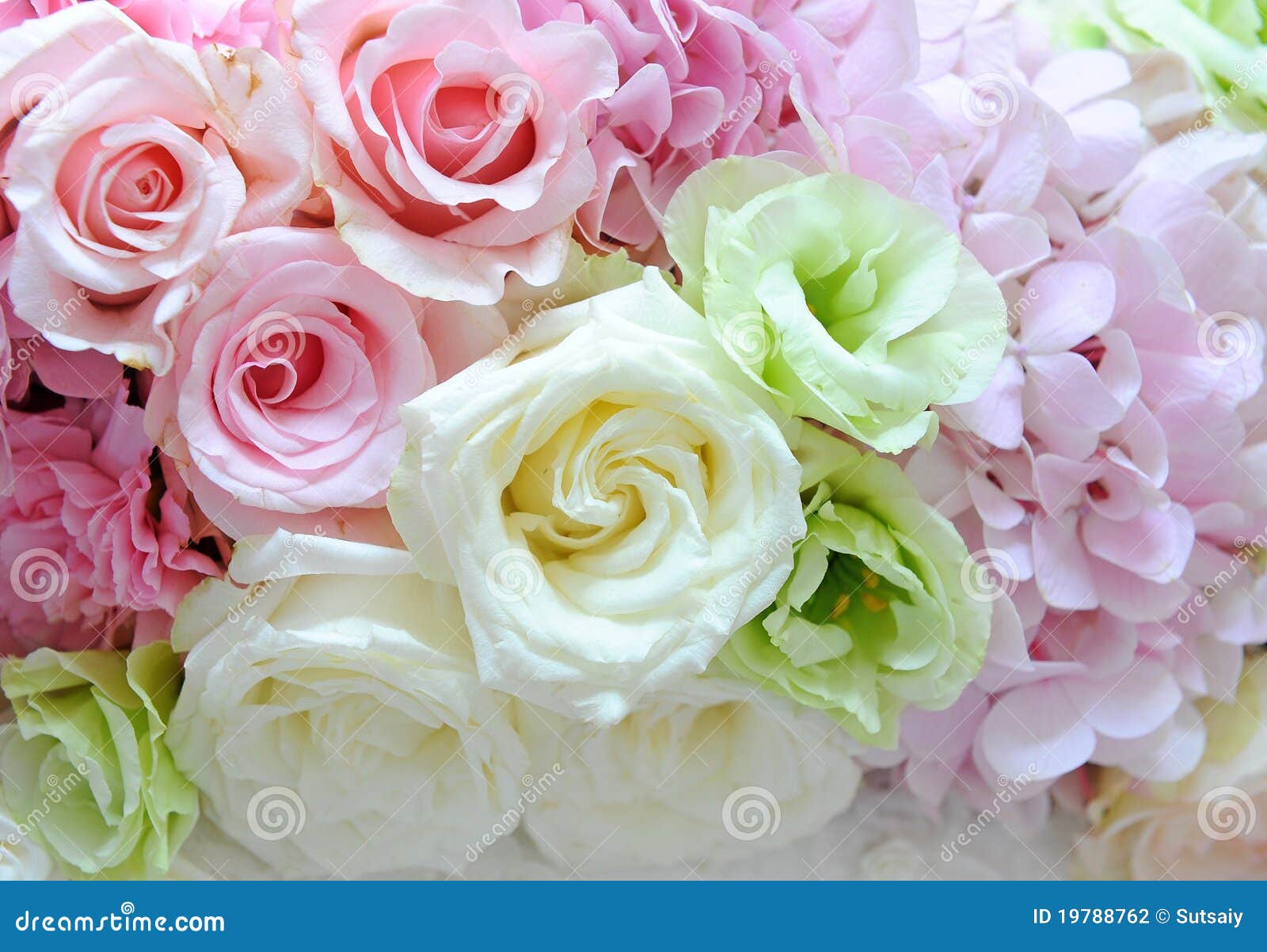 Mix flower stock photo. Image of isolated, seamless, growing - 19788762