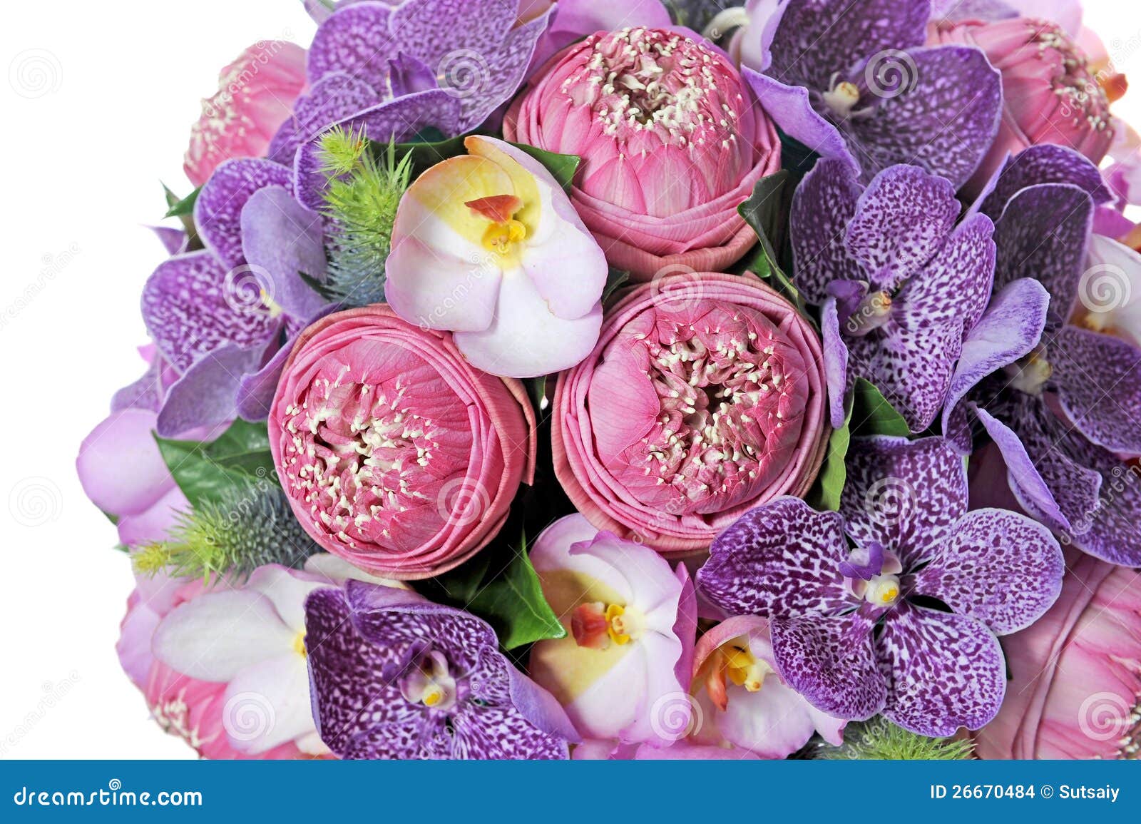 Mix flower stock photo. Image of colorful, decoration - 26670484