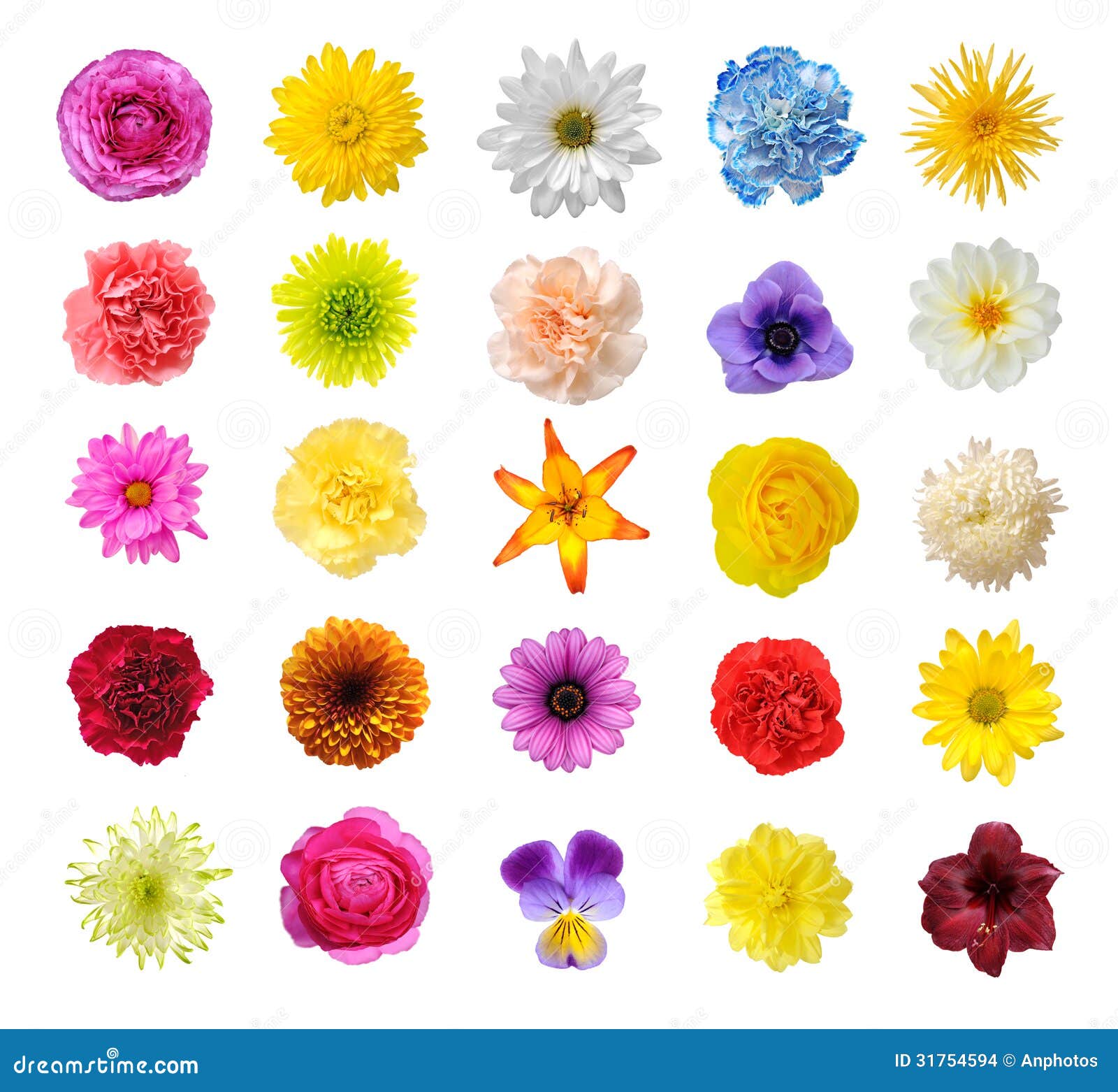 Mix flower stock photo. Image of persian, pink, green - 31754594