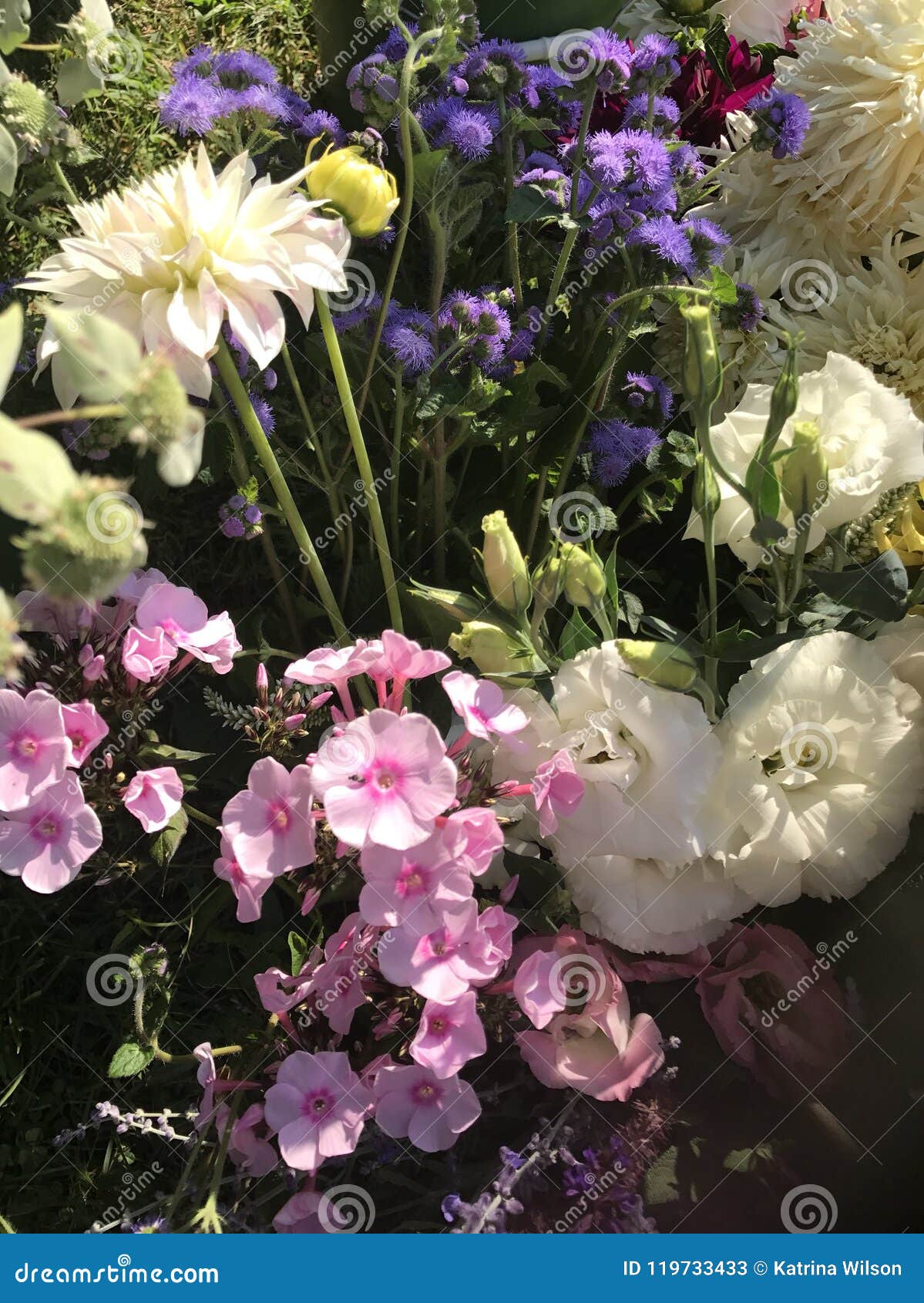 Mix of flowers stock image. Image of white, flowers - 119733433