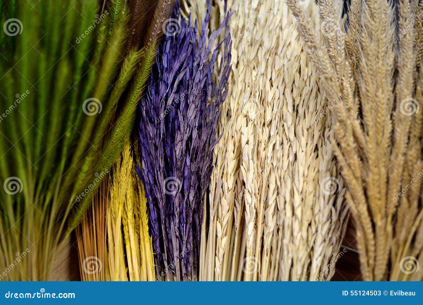 Mix grains stock image. Image of background, closeup - 55124503