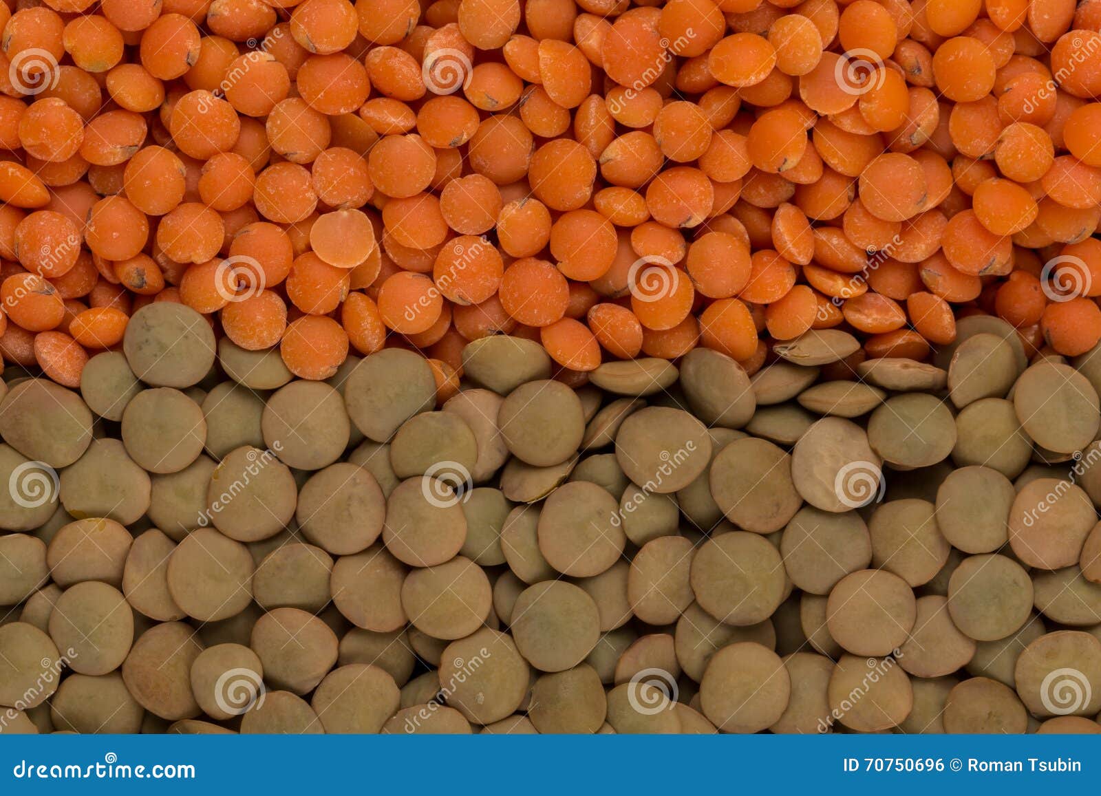 Mix of lentils stock photo. Image of grain, leguminous - 70750696