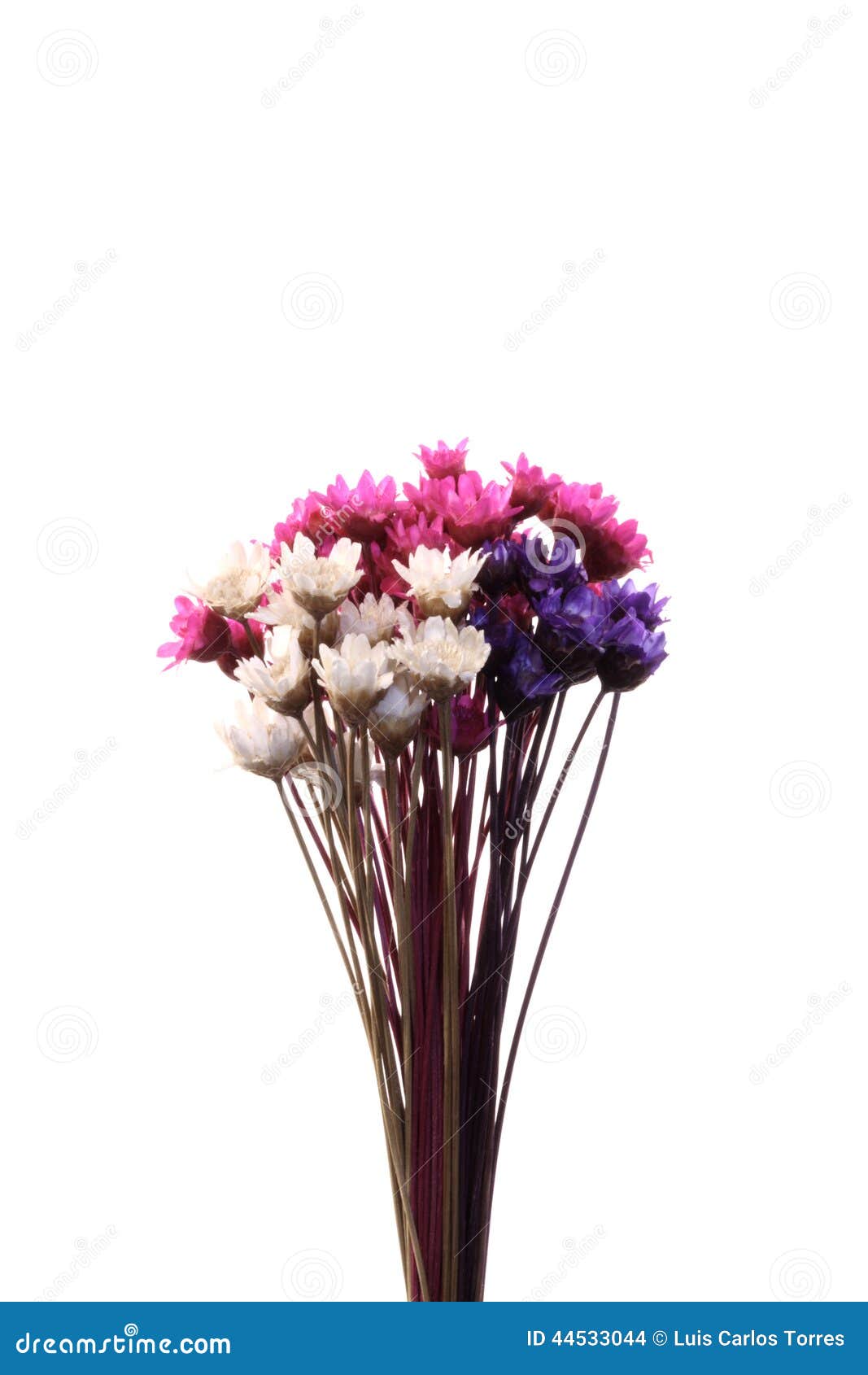 Mix Micro Flowers Arrangement Stock Photo - Image of white, boutonniere ...