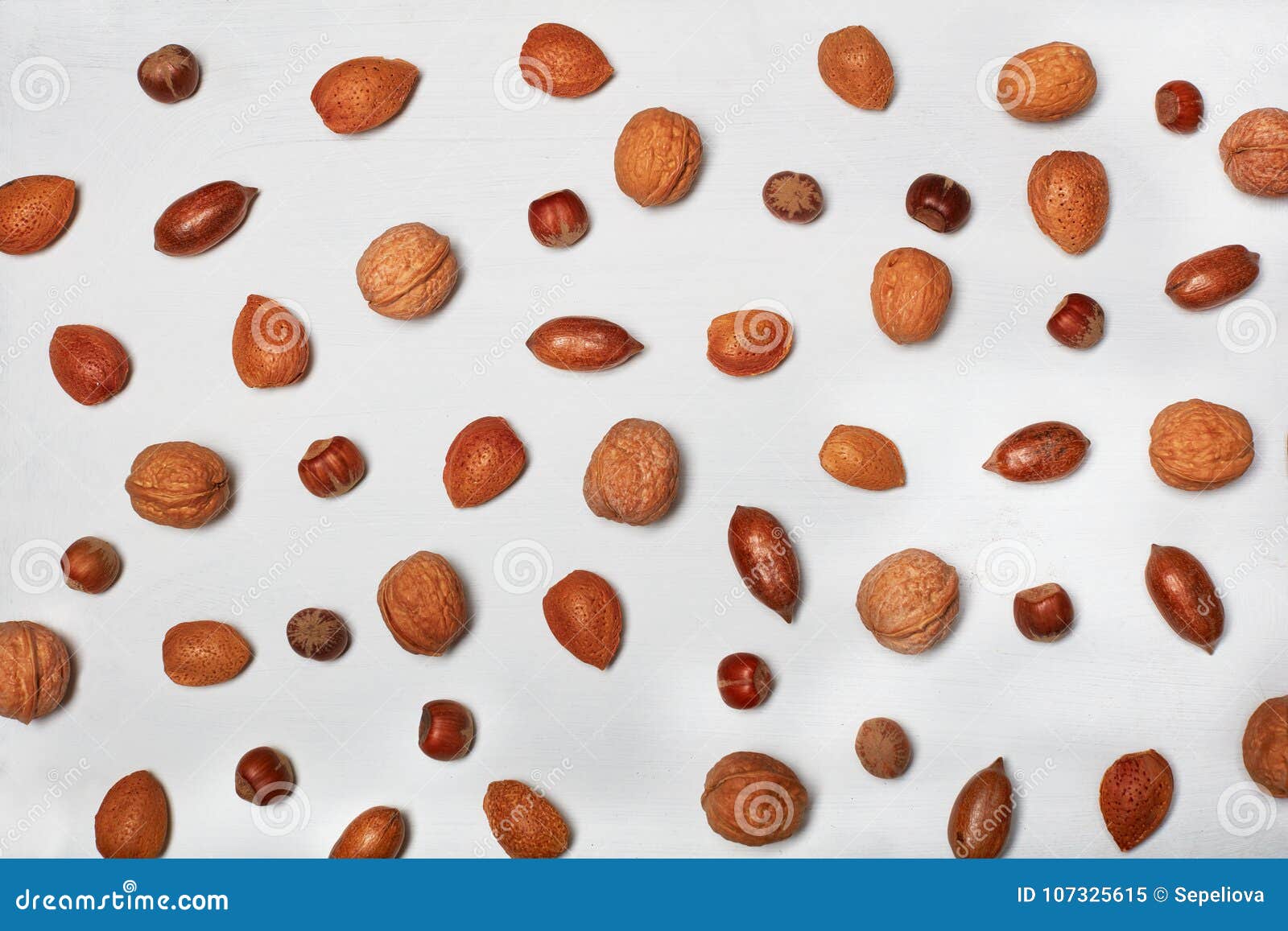 Mix of Nuts Pattern on White Background Stock Image - Image of wood ...
