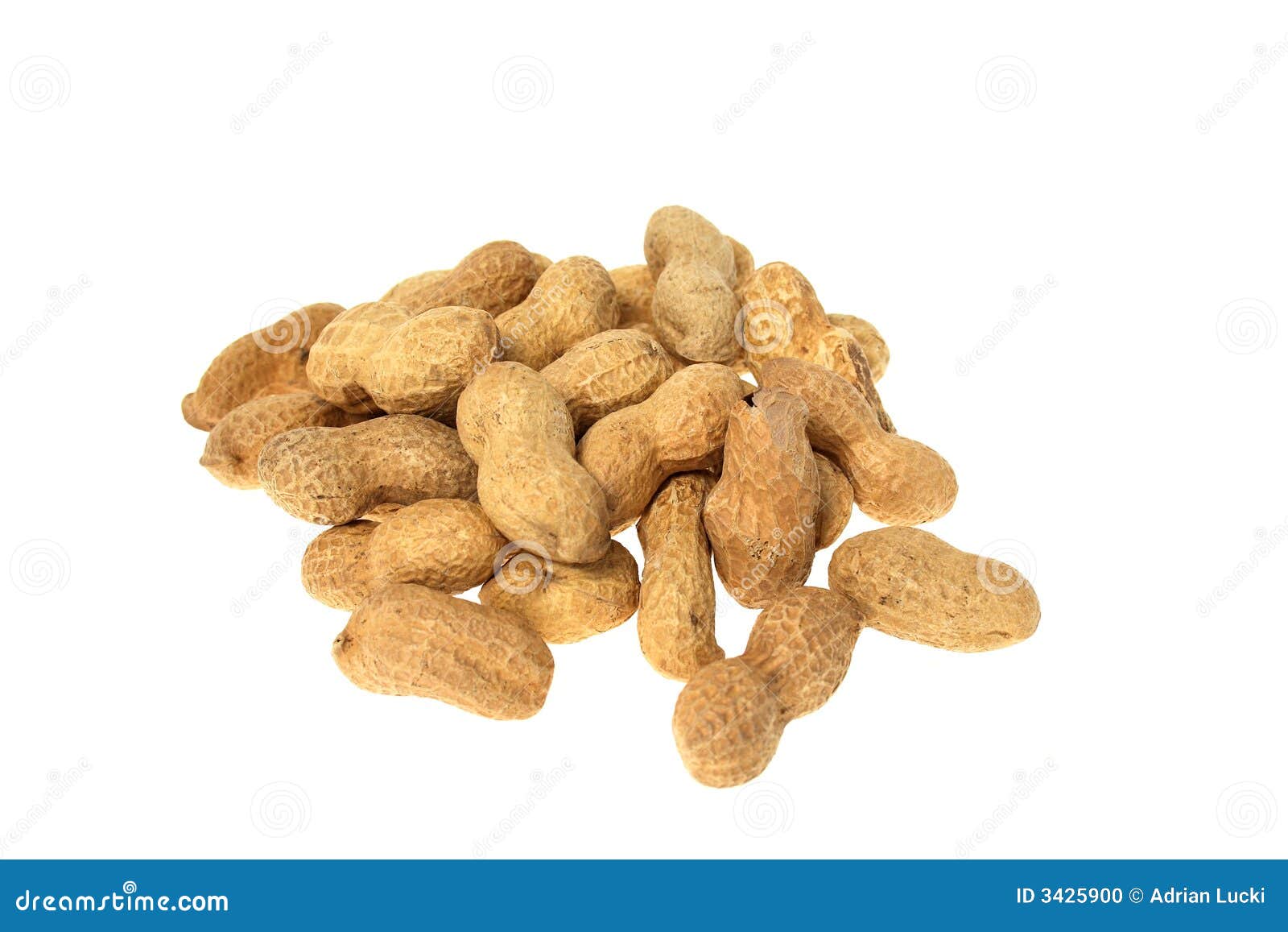 Plant Elephant Nuts Stock Photos - Free & Royalty-Free Stock Photos ...