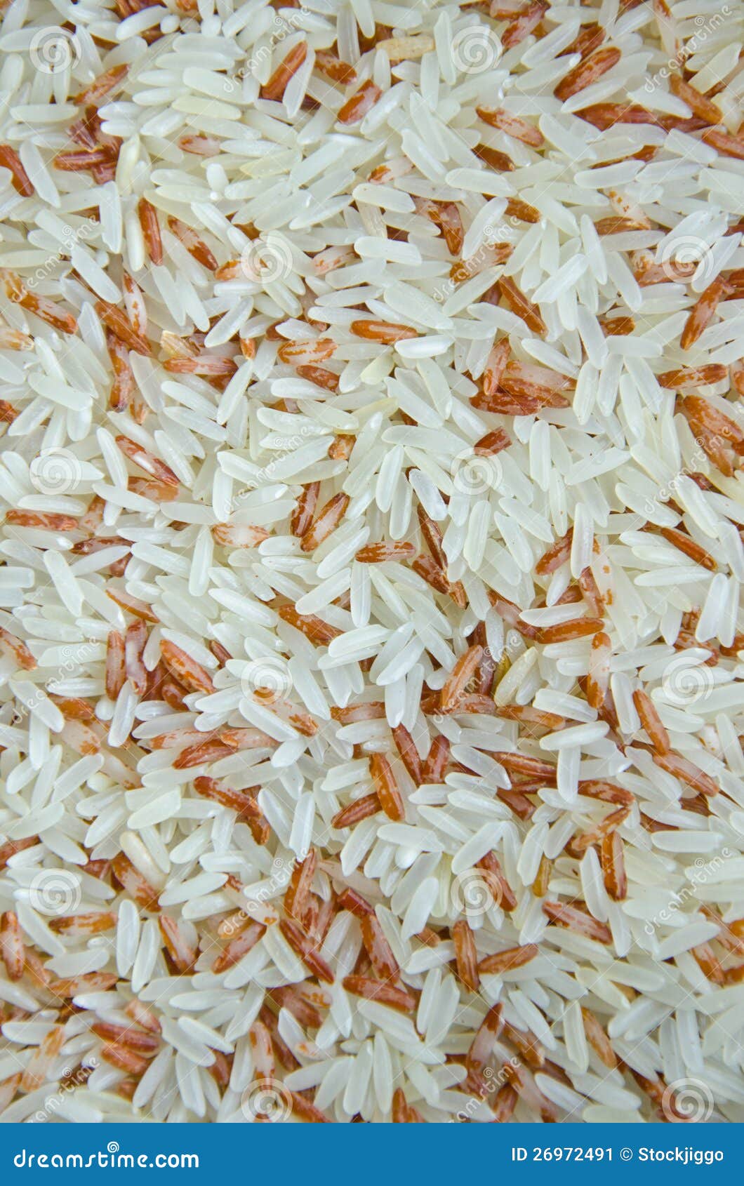 Mix rice stock image. Image of grain, full, background - 26972491