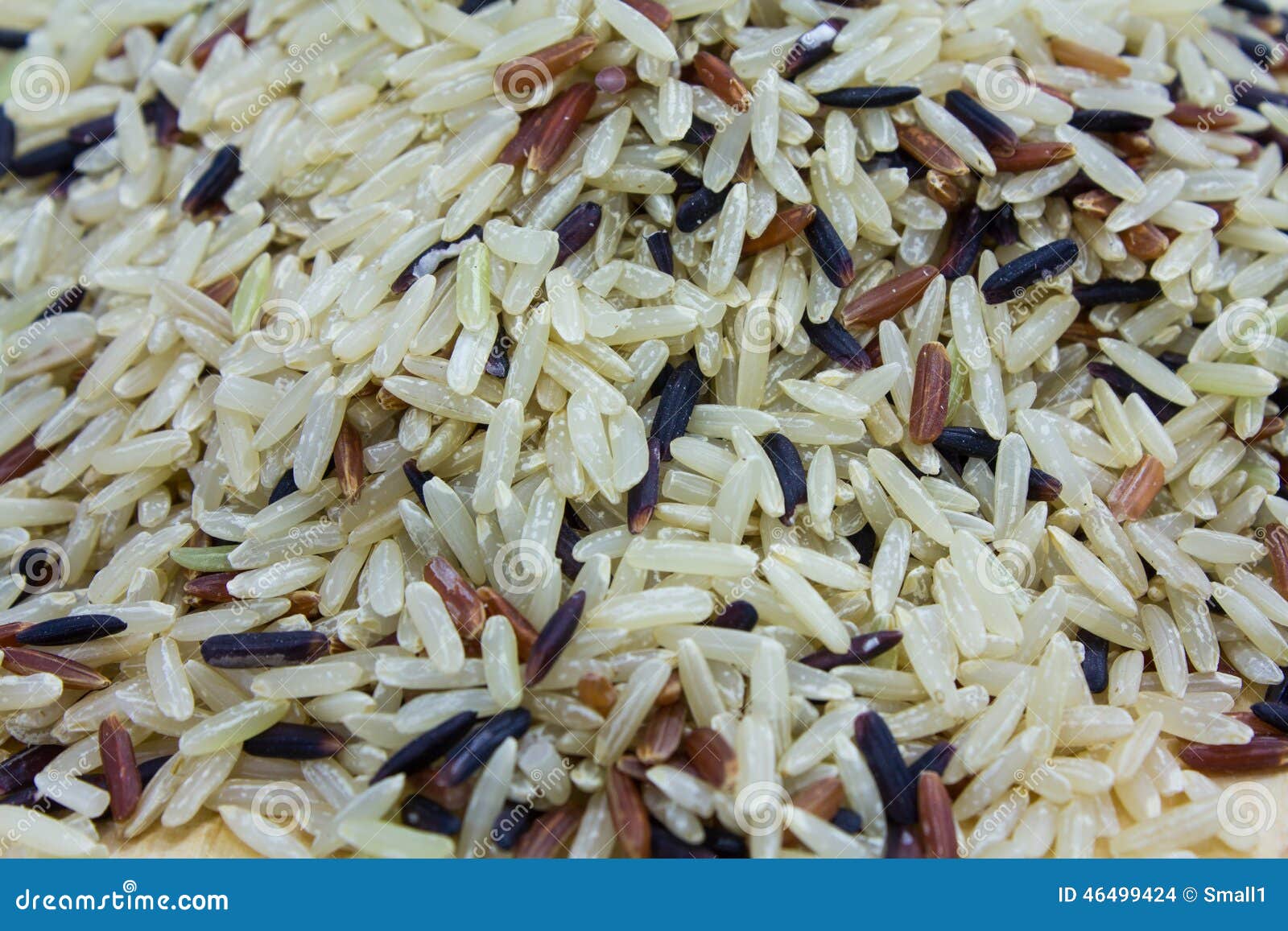 Mix Rice stock photo. Image of eating, organic, asian - 46499424