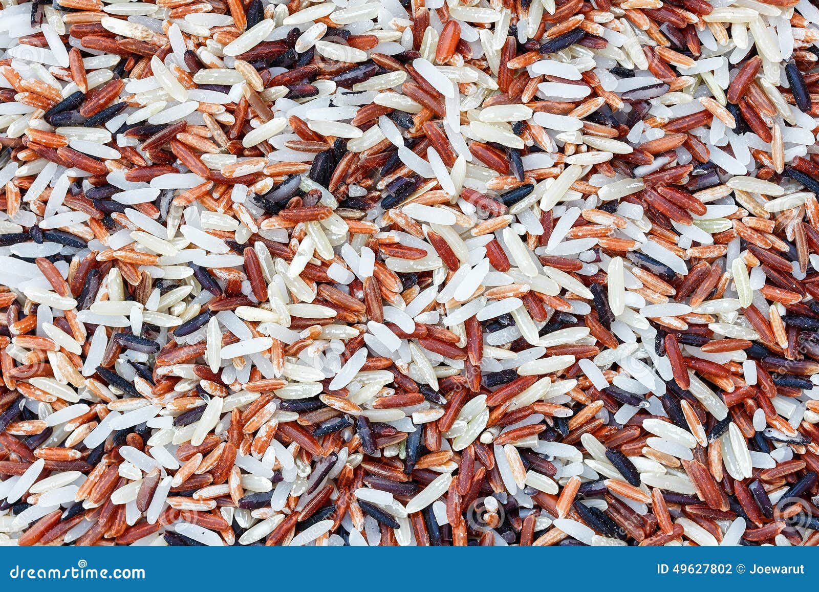 Mix rice stock photo. Image of grain, organic, nutrition - 49627802