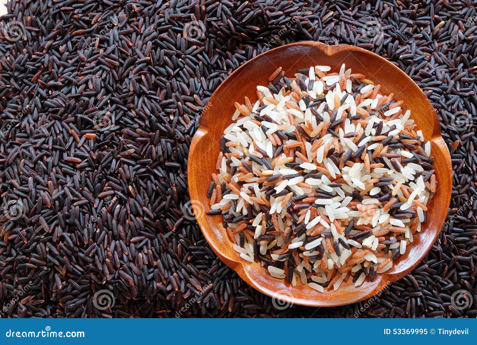Mix of Rice on Wooden Container Stock Image - Image of crop, grain ...