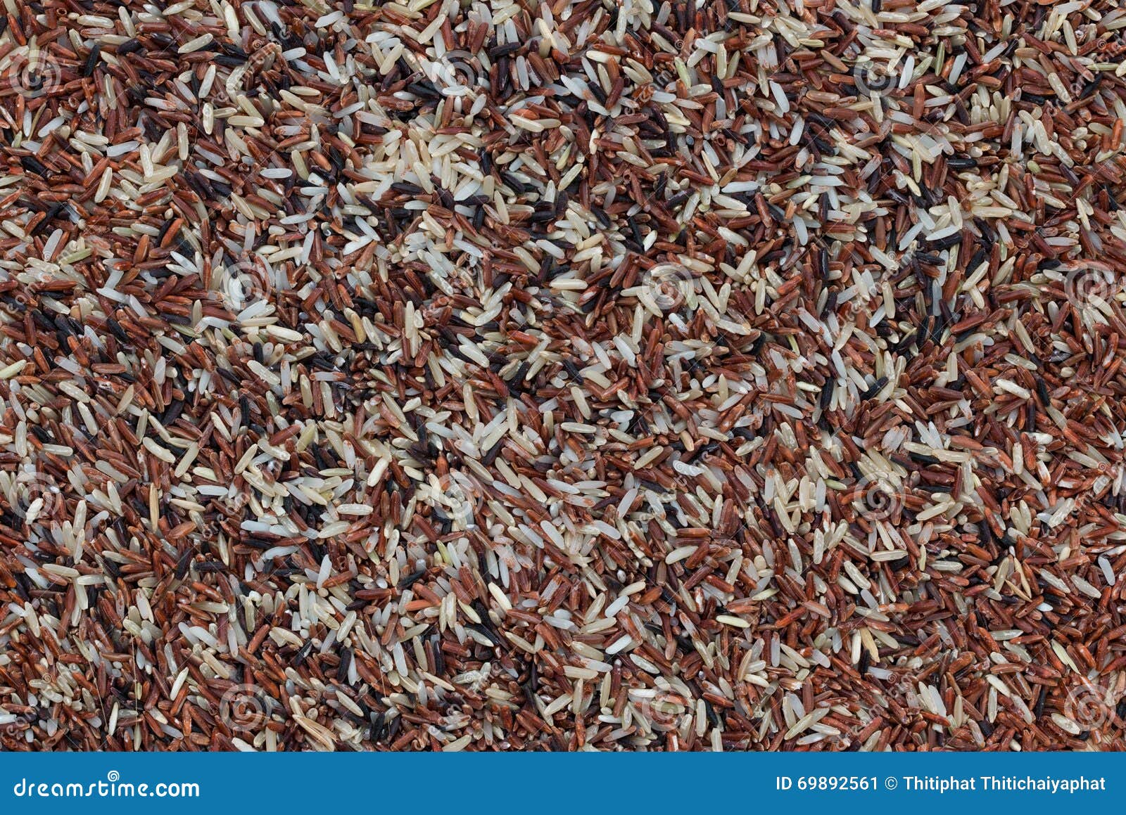 Mix rices background stock image. Image of mixed, carbohydrate - 69892561