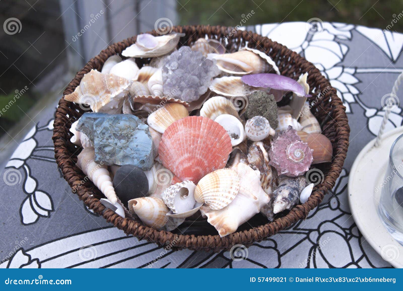 Mix of seashells stock image. Image of beach, lots, white - 57499021