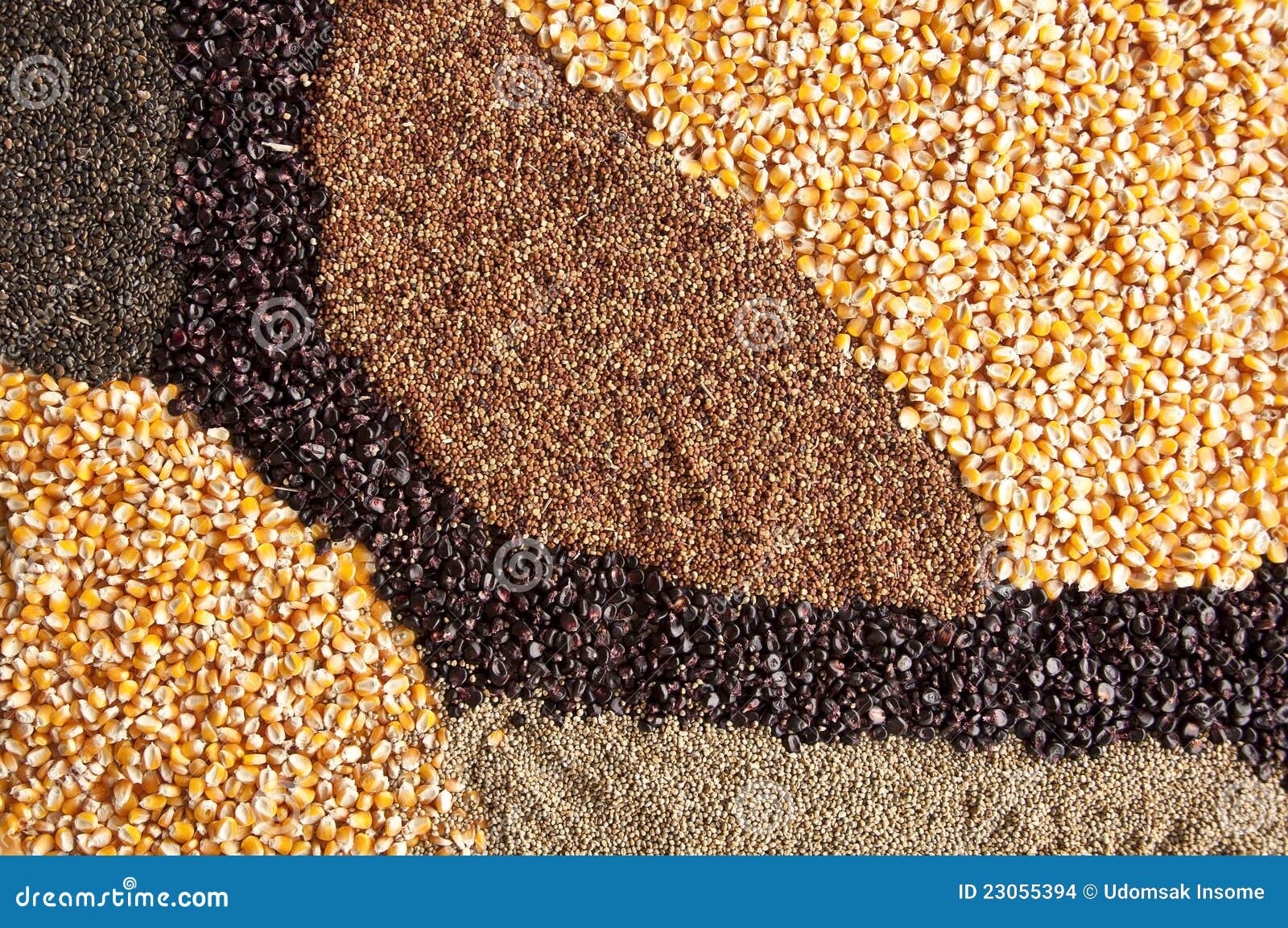 Mix seed texture stock photo. Image of mixed, healthy - 23055394