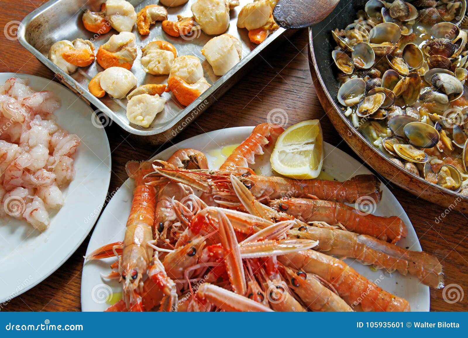 Mix of Shellfish and Molluscs Stock Image - Image of shellfish, closeup ...
