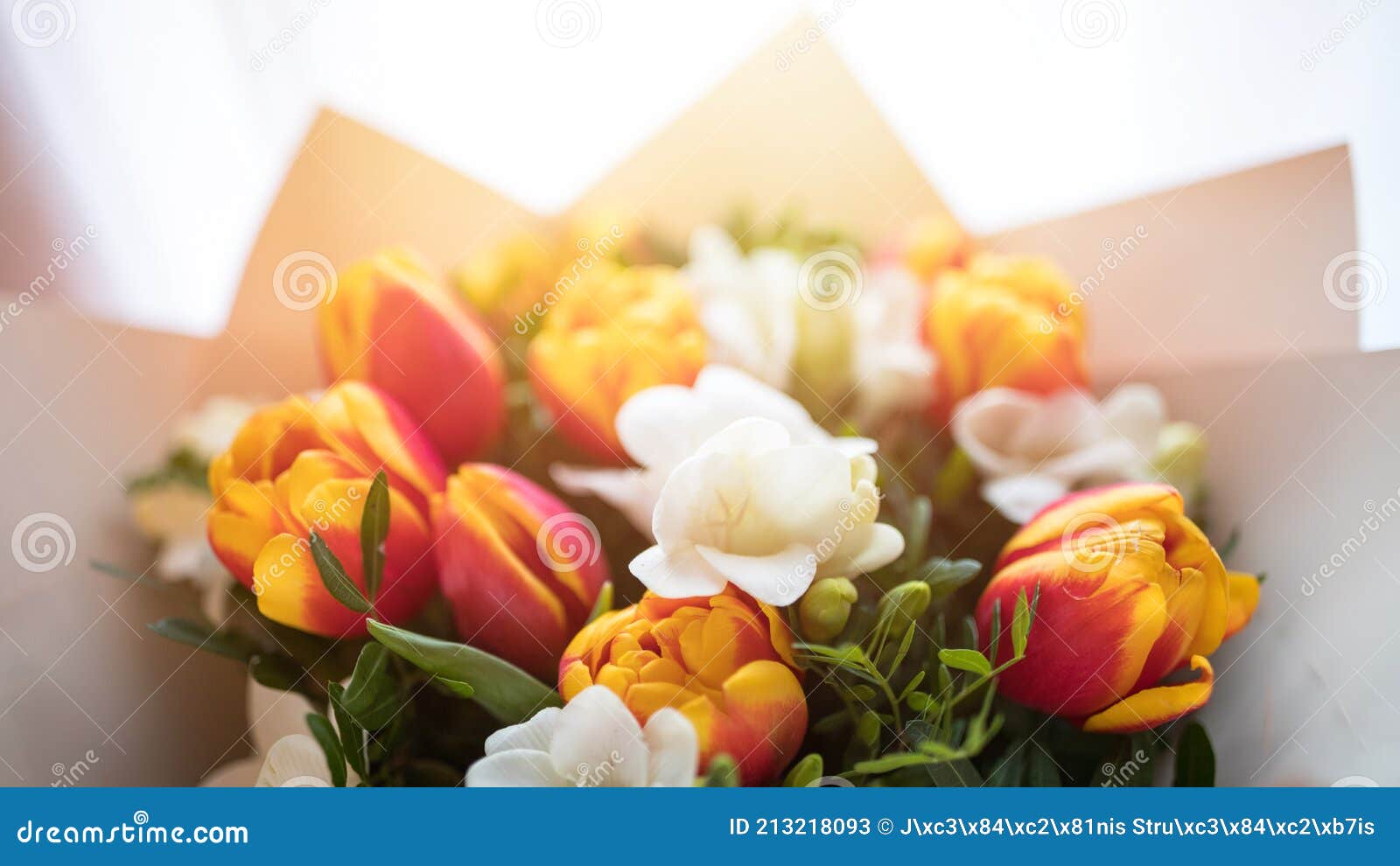 Mix of Spring Tulips Flowers, 16x9 Stock Image - Image of beauty ...