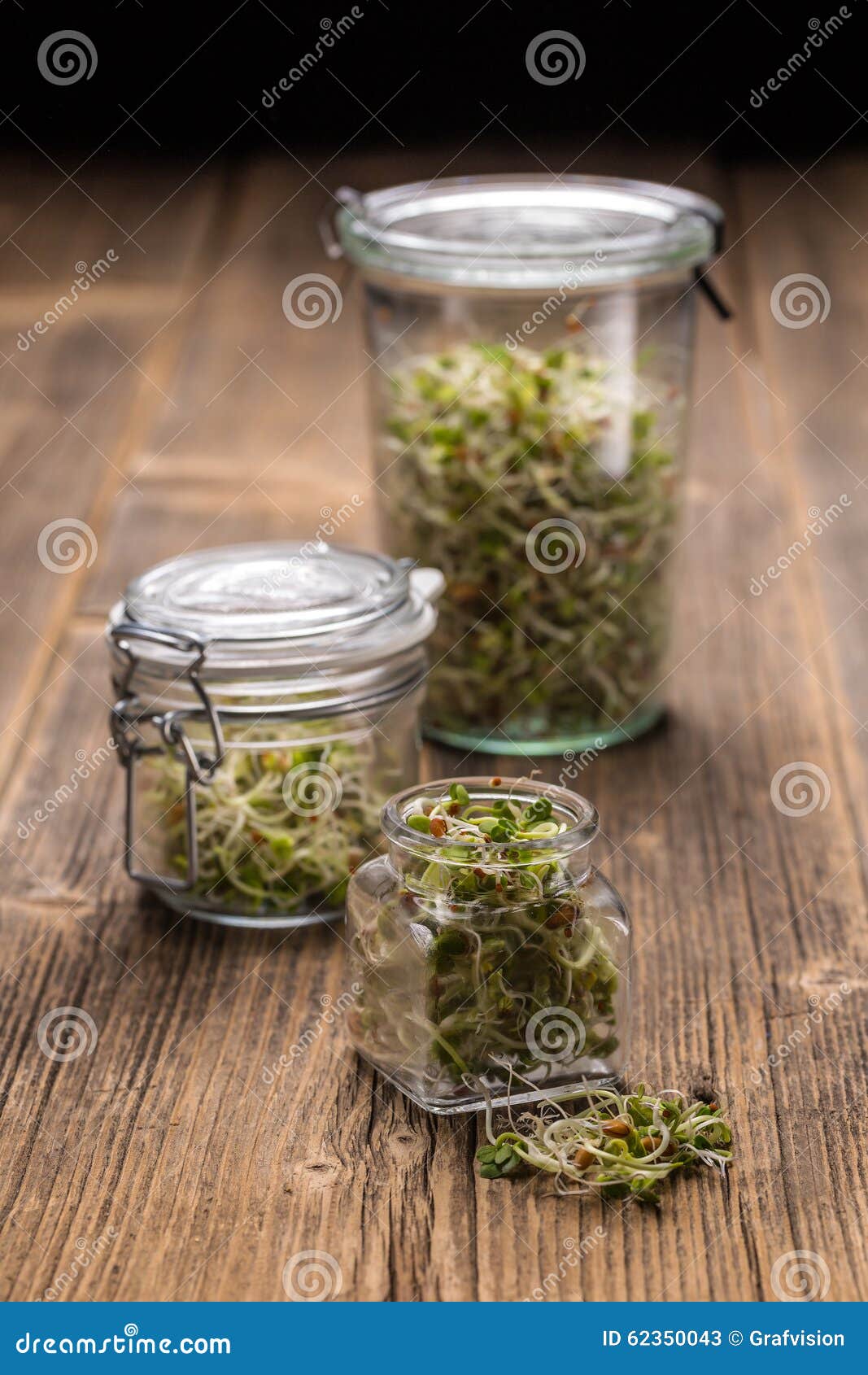 Mix of sprouted seeds stock image. Image of wheat, background - 62350043