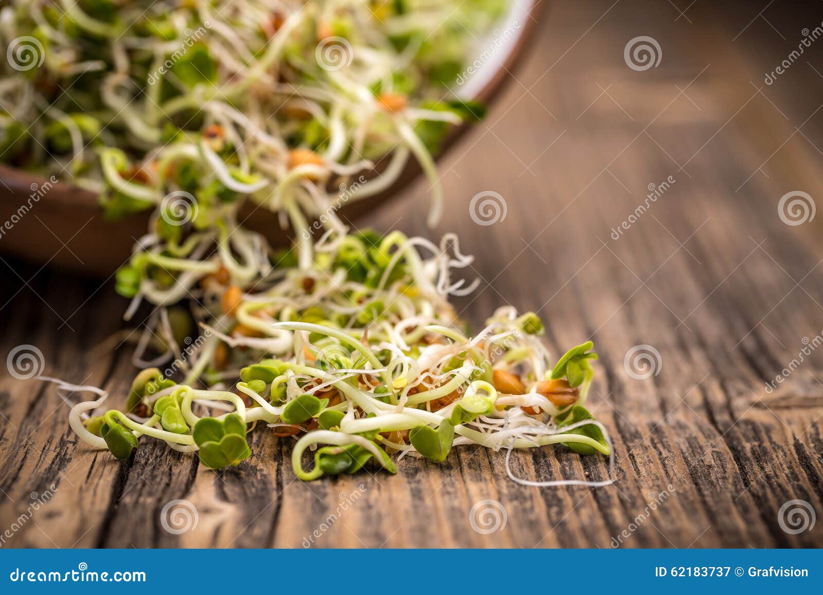 Mix of sprouted seeds stock image. Image of fenugreek - 62183737