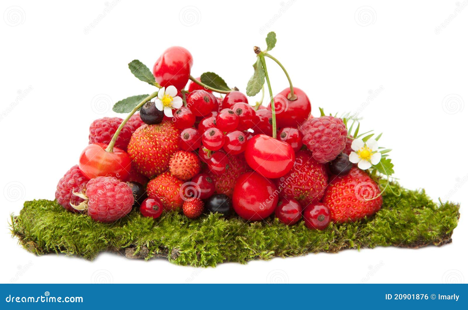 Mix of Summer Berries on Moss Stock Photo - Image of colourful, tasty ...