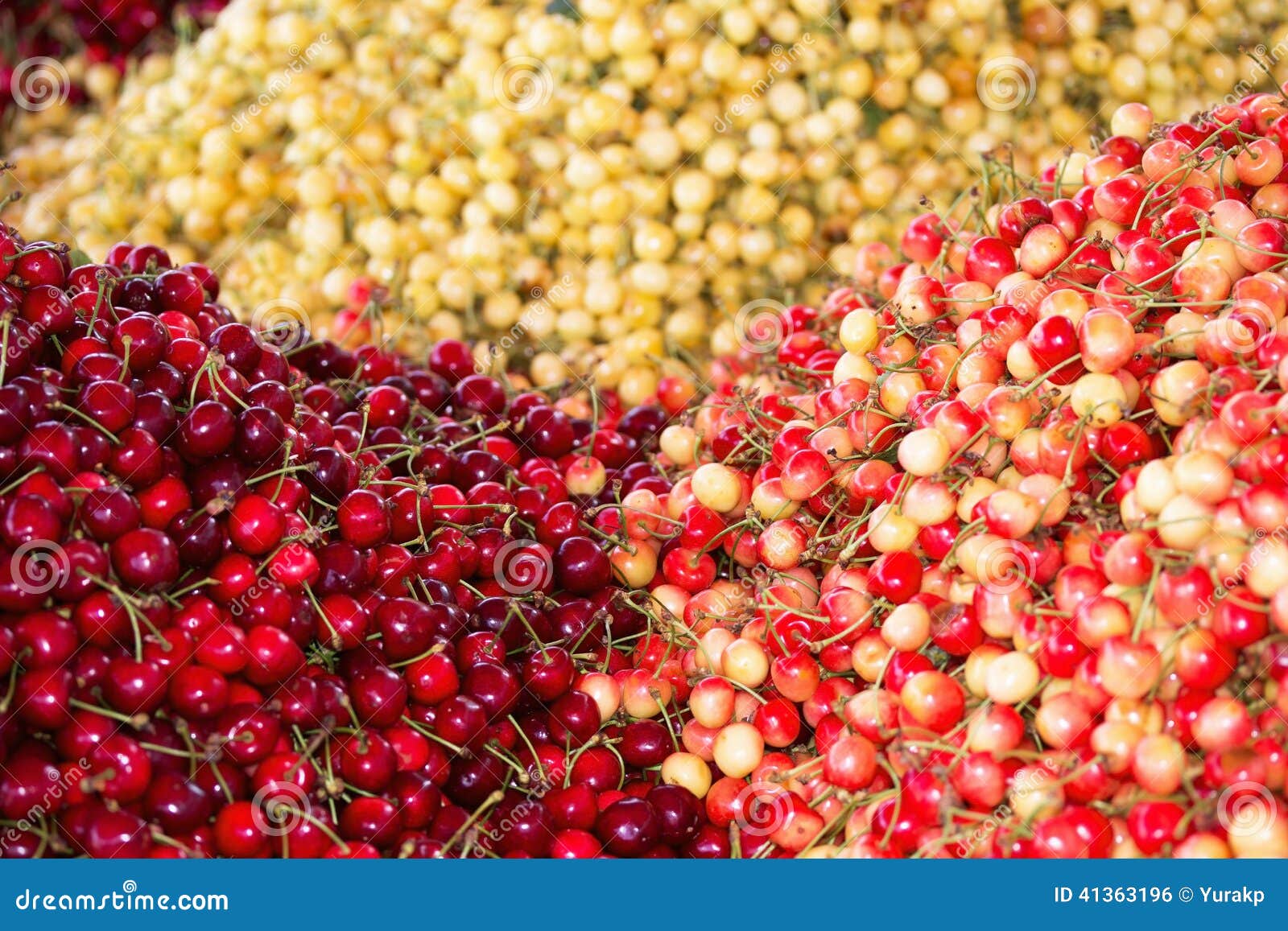 Mix of Three Types Ripe Cherries Stock Photo - Image of delicious ...
