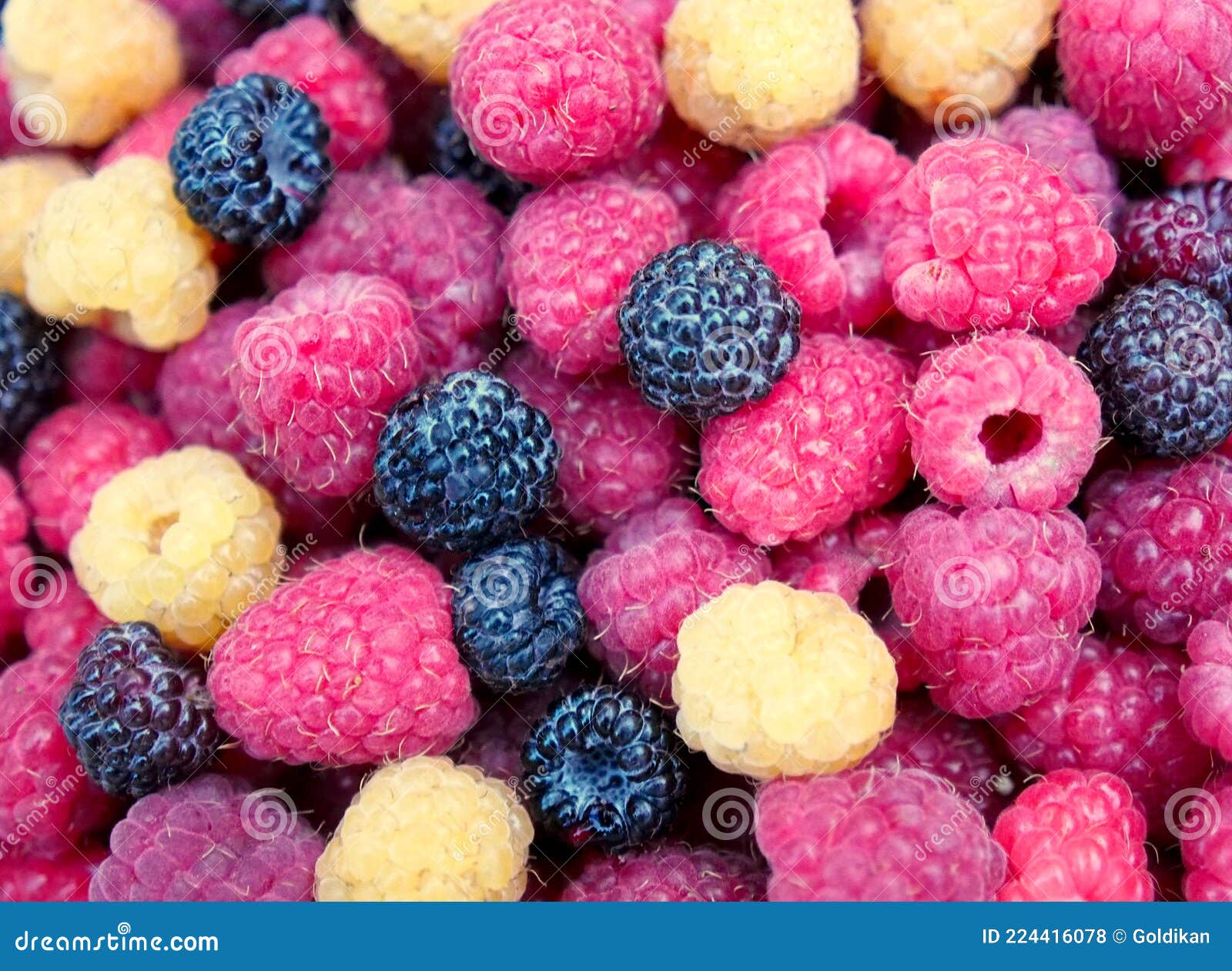 Mix Three Varieties of Raspberries Stock Photo - Image of nature ...