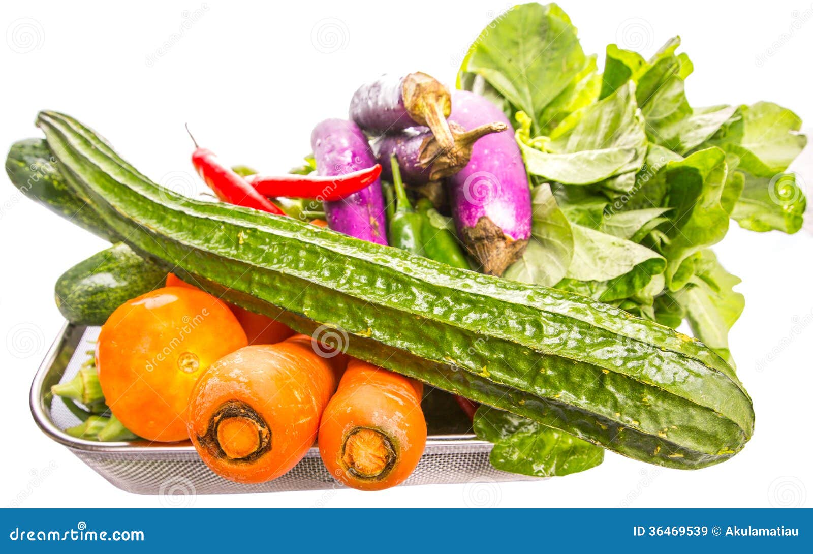 Tropical Vegetables List