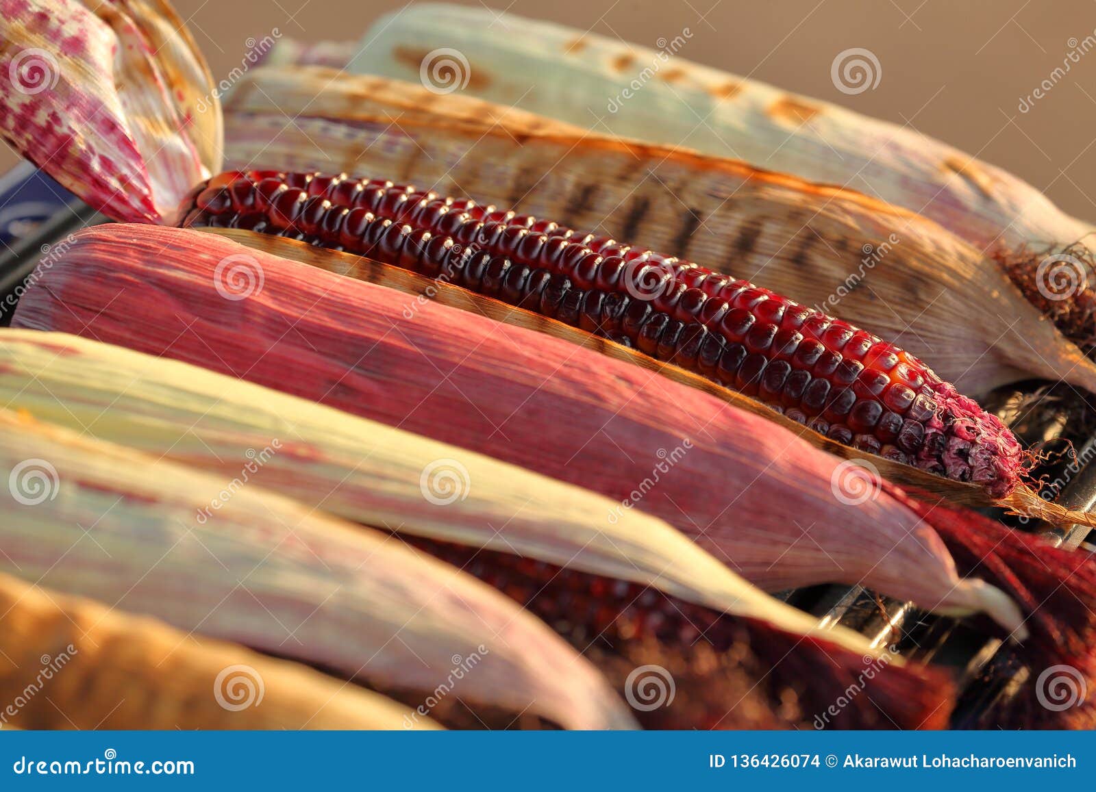 440 Maize Varieties Stock Photos - Free & Royalty-Free Stock Photos ...