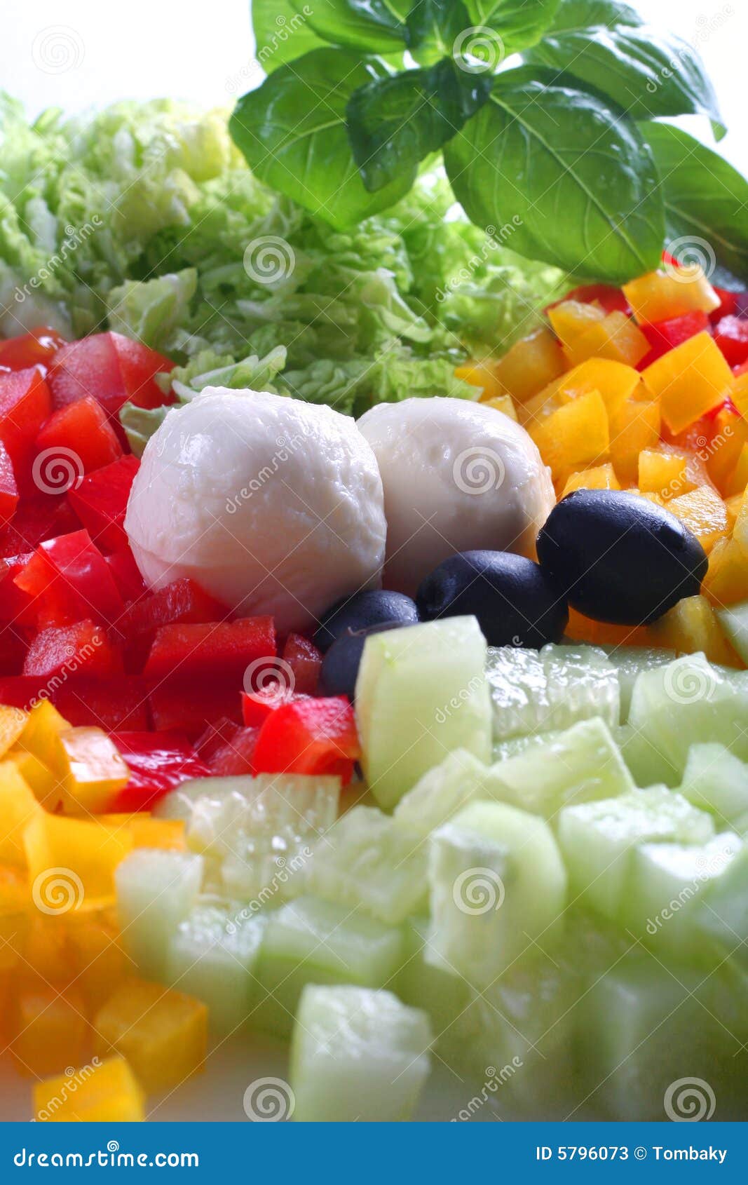 Mix of Vegetable and Mozzarella Stock Image - Image of diet, organic ...
