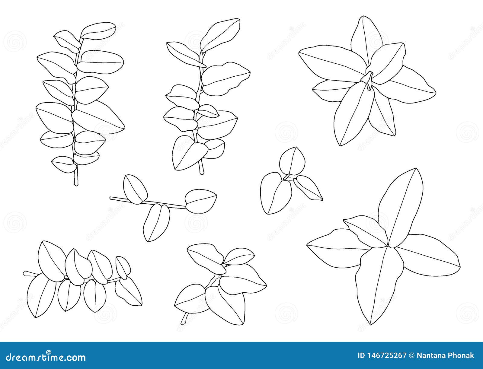 Leaves Line Design and Lined Pattern Black on White Background Stock ...