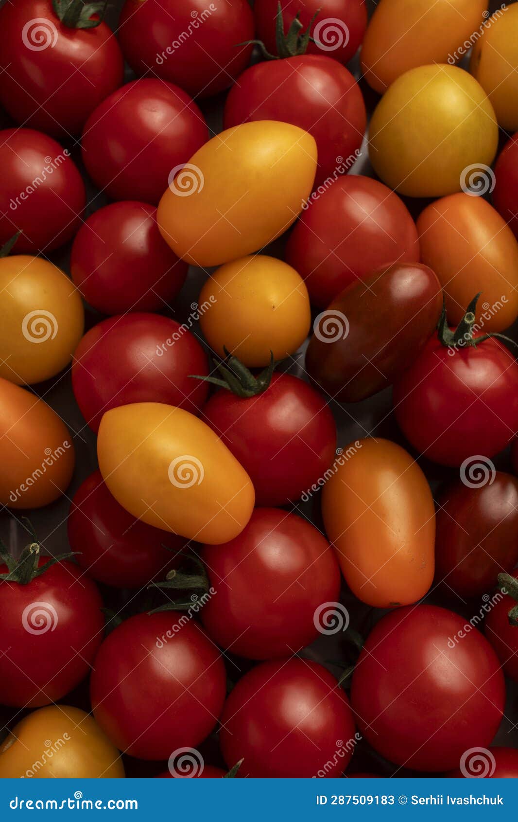 Mix of Yellow, Red and Black Cherry Tomatoes. Stock Image - Image of ...