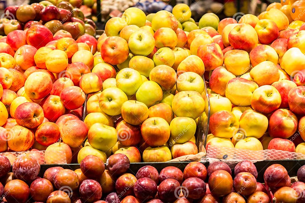 Mixed apples stock photo. Image of closeup, crop, eating - 78952460