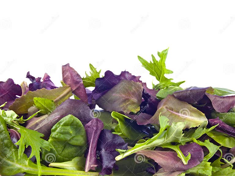 Mixed baby greens stock image. Image of white, healthy - 7201977