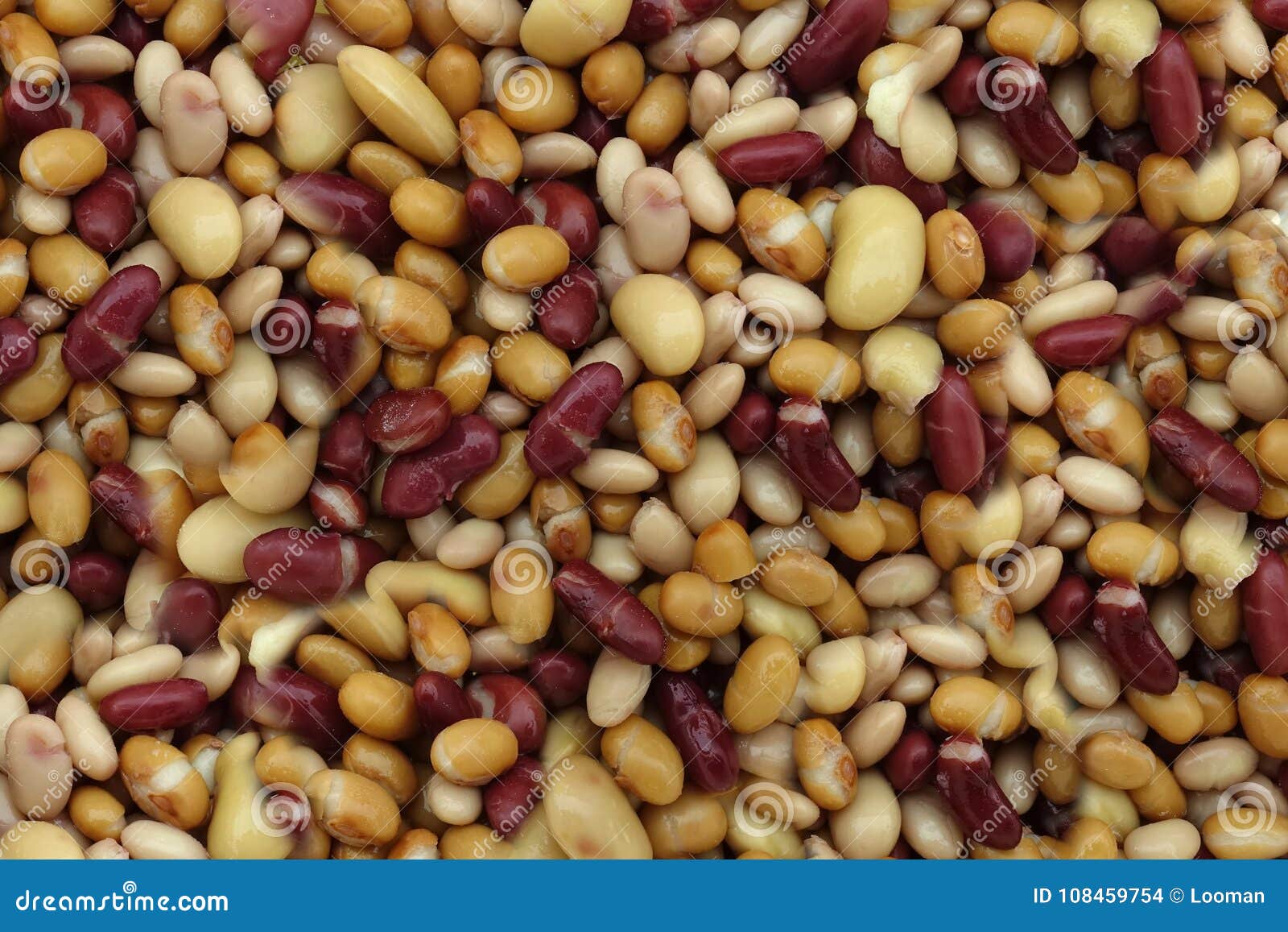 Mixed beans cooked stock photo. Image of mixture, health - 108459754
