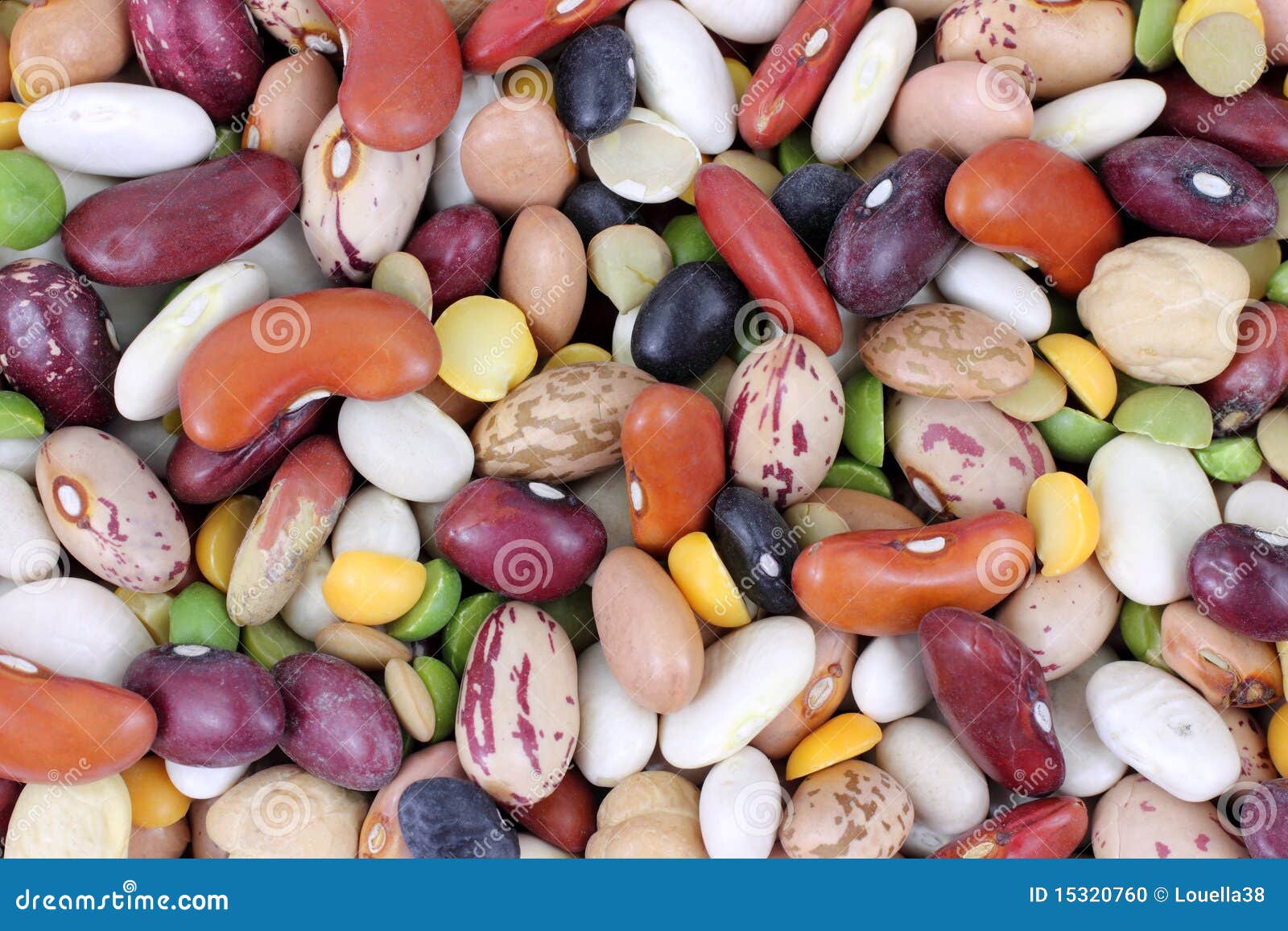 Mixed Beans up Close stock photo. Image of assortment - 15320760